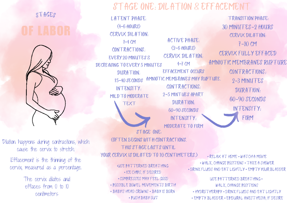 Stages of Labor: Stage One - Dilation & Effacement Overview - Studocu