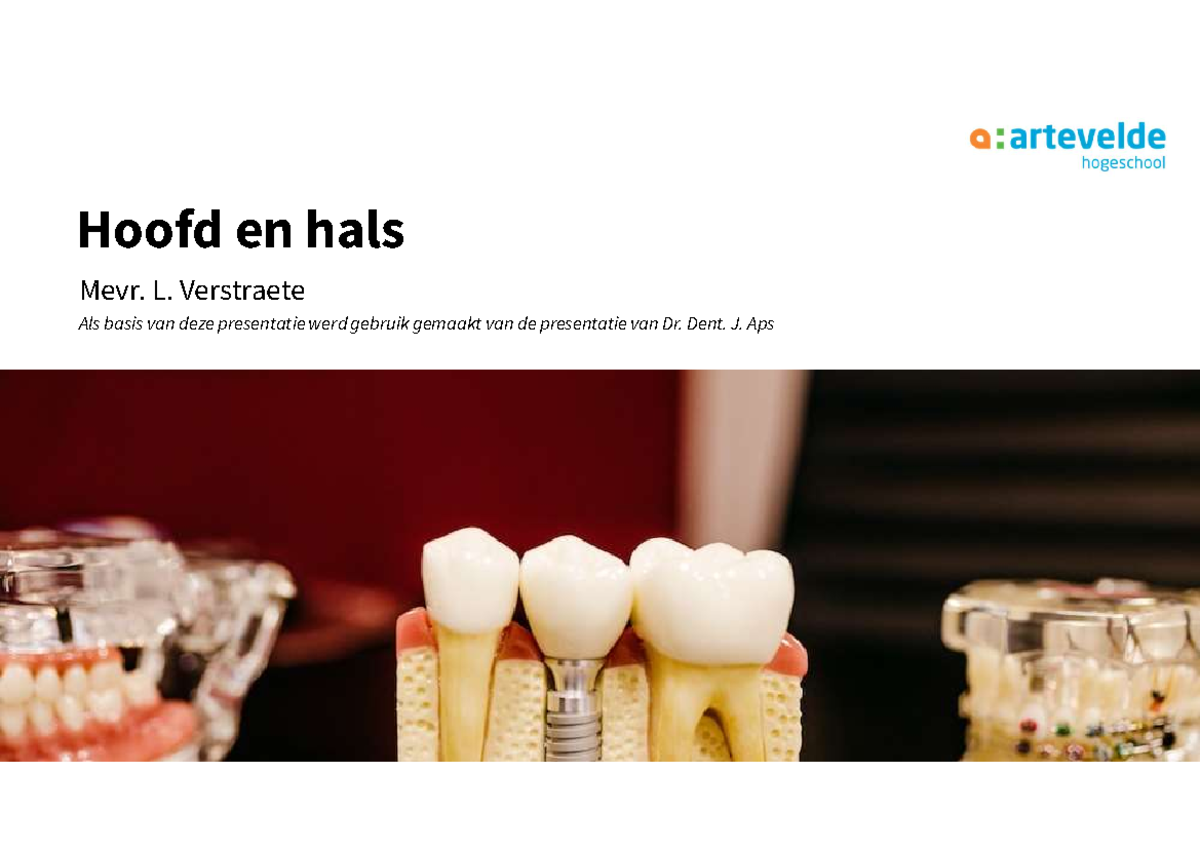 Hoofd en Hals Anatomie: Het Menselijk Gebit 2024-1 - Studeersnel