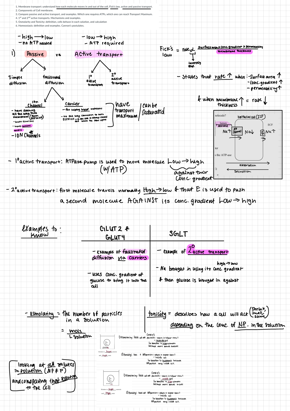 Exam 1 Review Cheng Fall 22 Deprecated Api Usage The Svg Back End Is No Longer Maintained