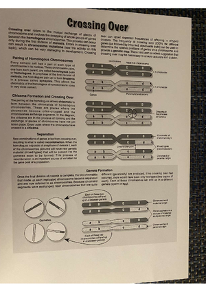 Polypeptide Synthesis A Fundamental Process of Protein Formation ...