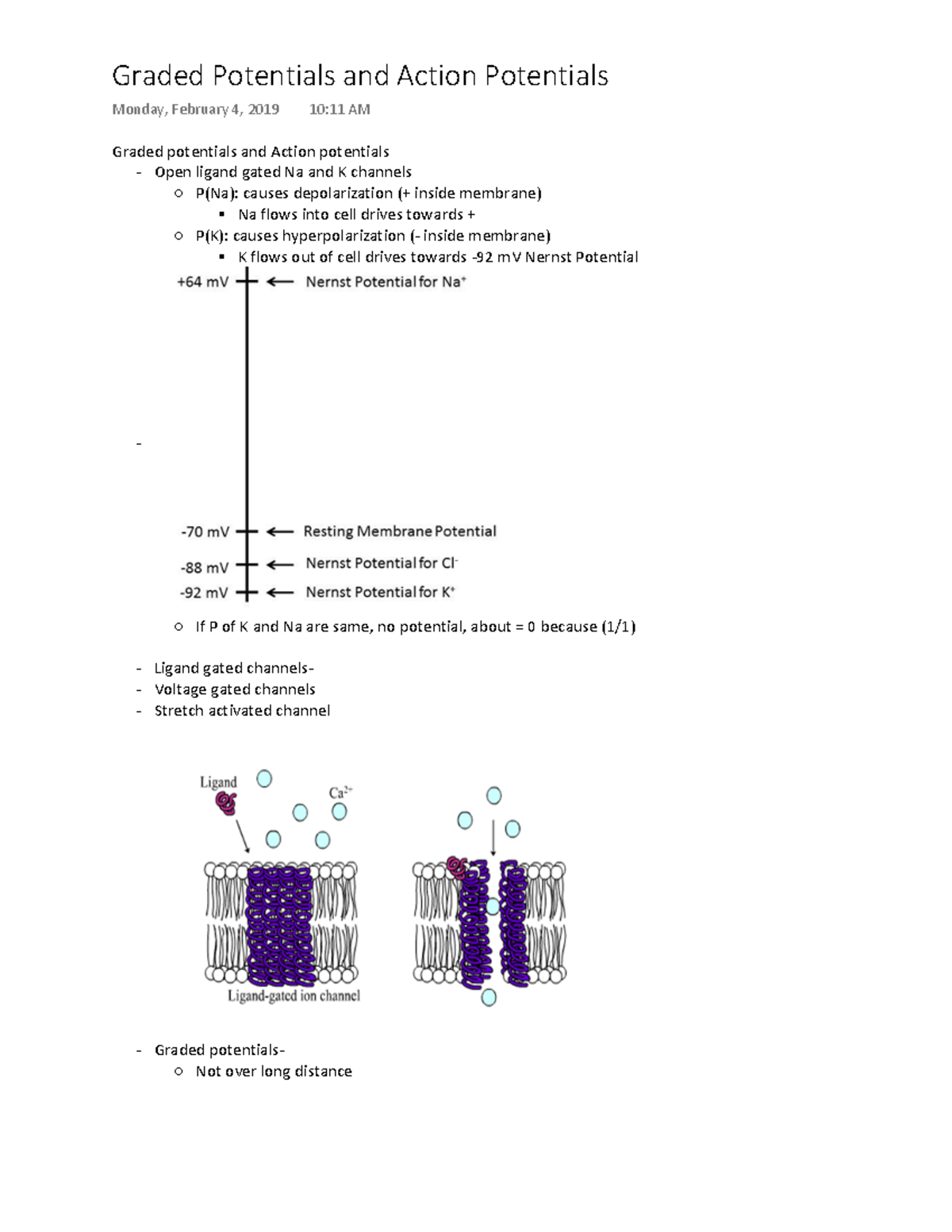 Difference Between Graded Potential And Action Potential Solved: Drag