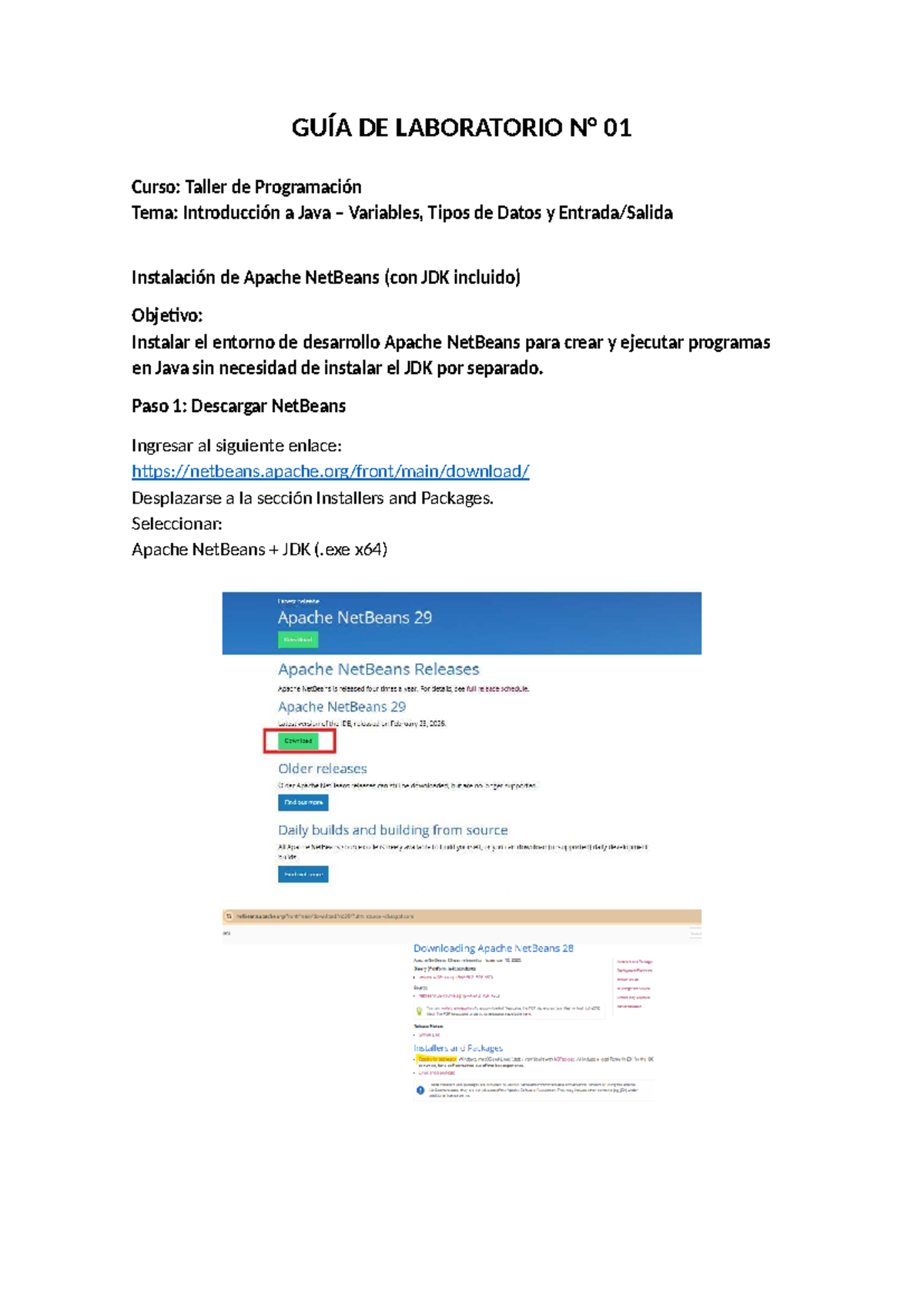 GUÍA DE LABORATORIO 01 - Taller de Programación: Introducción a Java ...