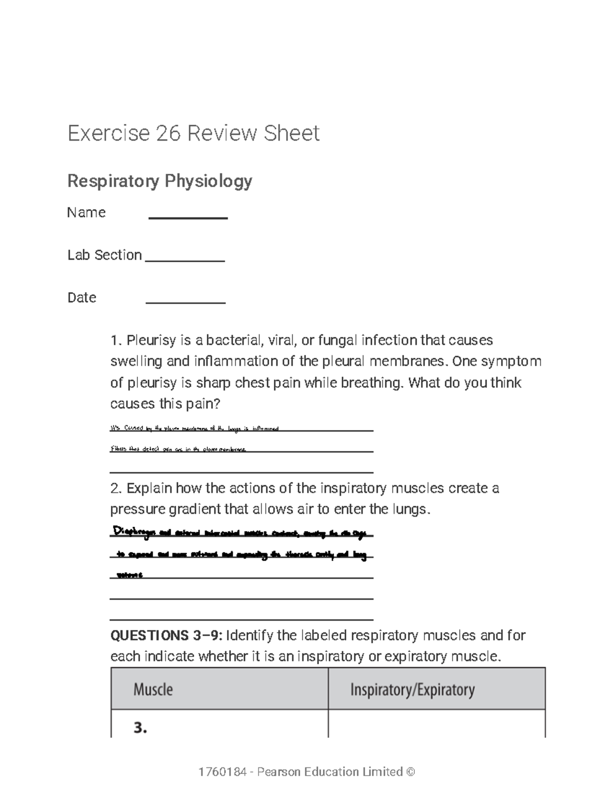 Chapter 26 - Respiratory Physiology Lab Assignment Review - Studocu