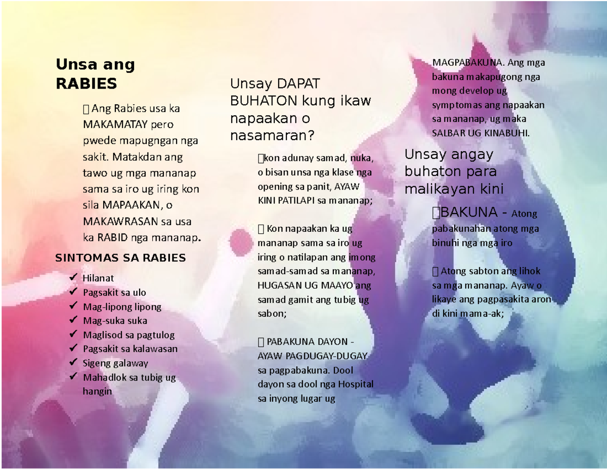 Unsa-ang- Rabies - Unsa ang RABIES Ang Rabies usa ka MAKAMATAY pero ...