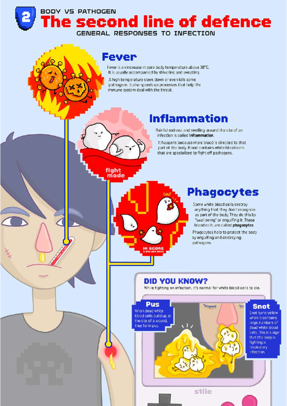 BODY VS PATHOGEN 2: Second Line of Defence Overview - Studocu