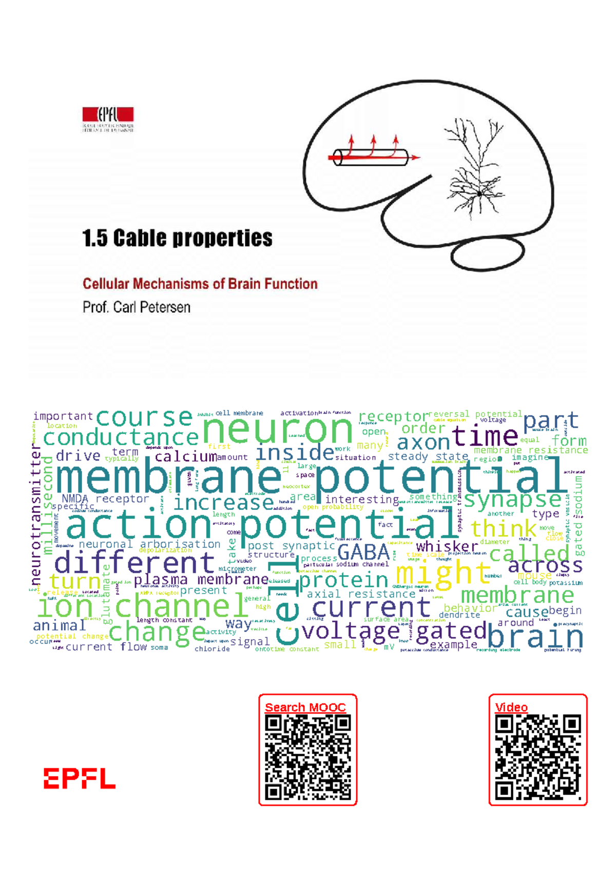 1.5 Cable Properties - Cellular Mechanisms of Brain Function (Course ...