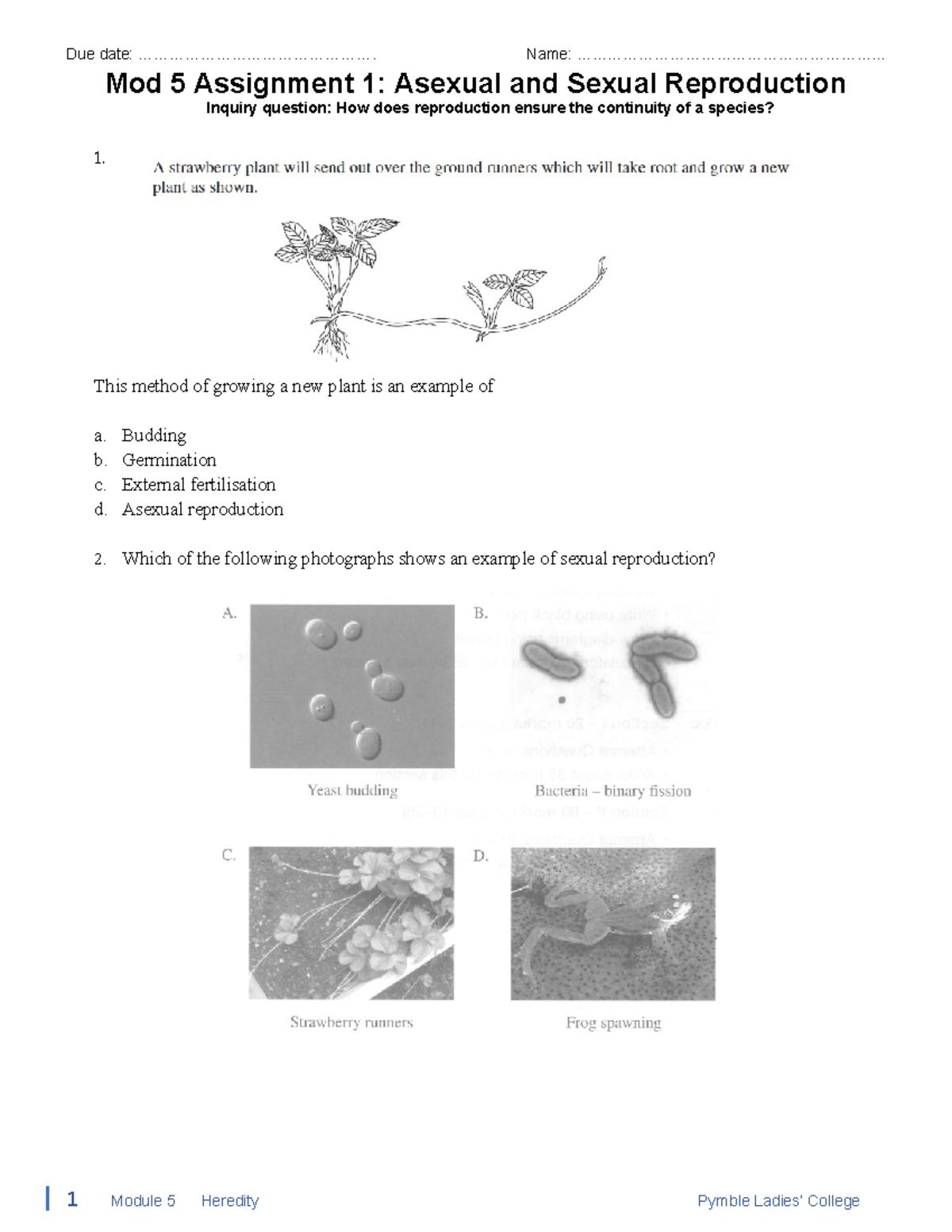 Mod 5 Assignment 1: Asexual vs Sexual Reproduction Analysis - Studocu