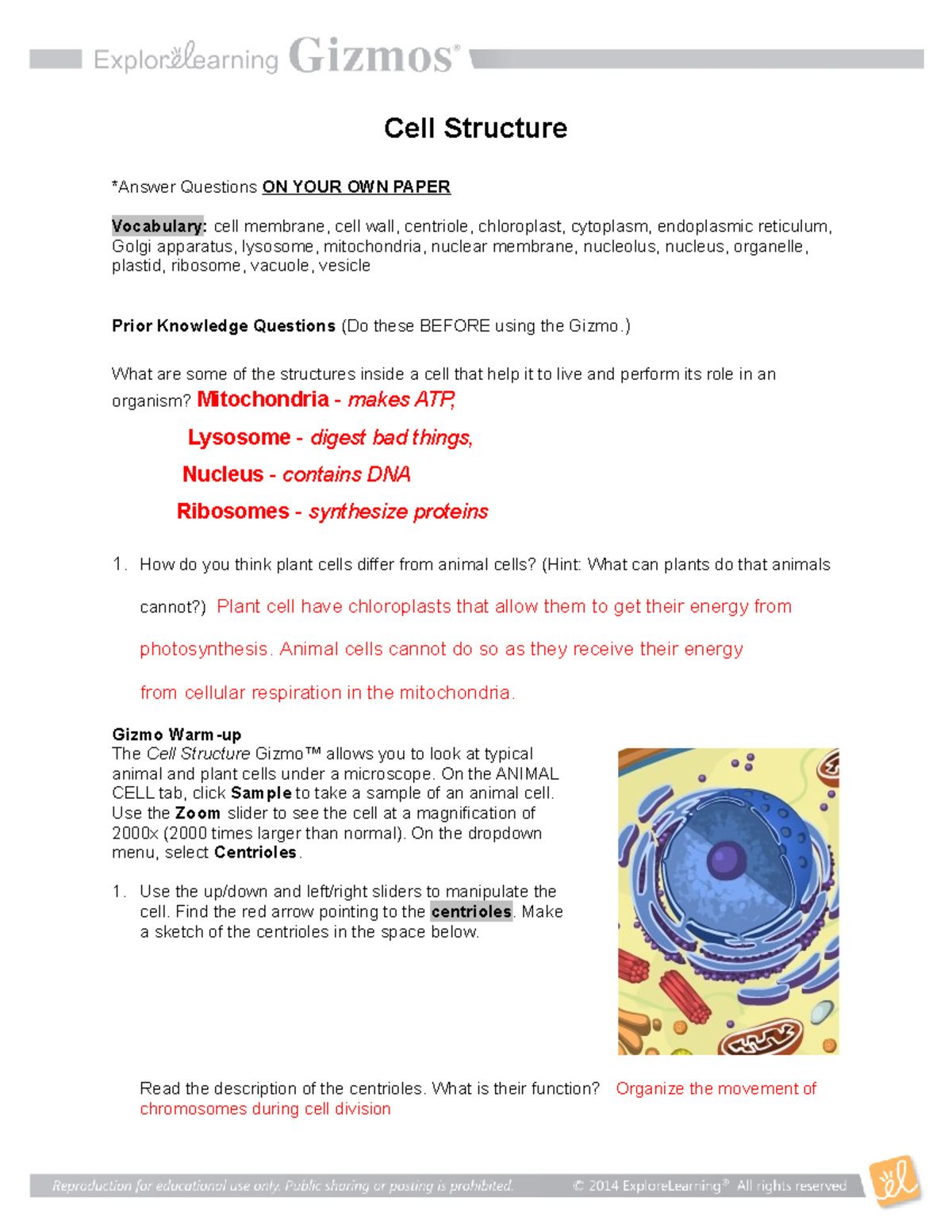 Cell Structure SE 1 - Cell Structure *Answer Questions ON YOUR OWN ...
