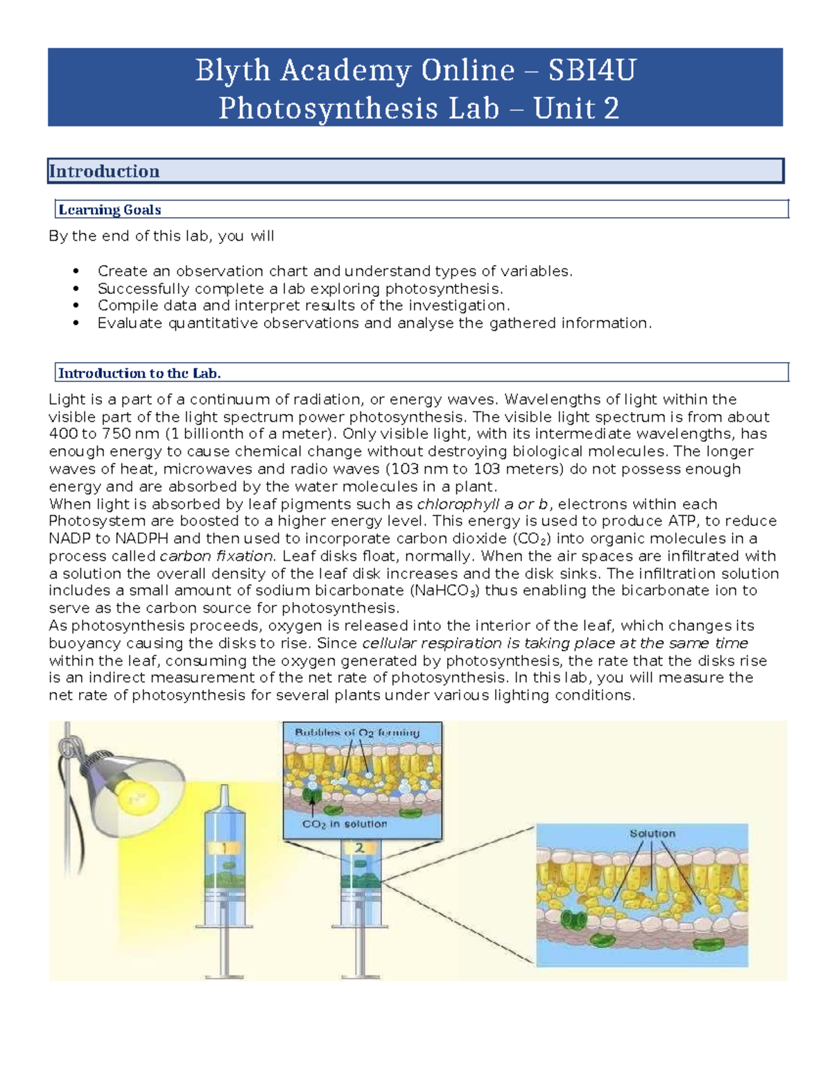 Photosynthesis Lab Report - SBI4U Unit 2 Learning Goals - Studocu