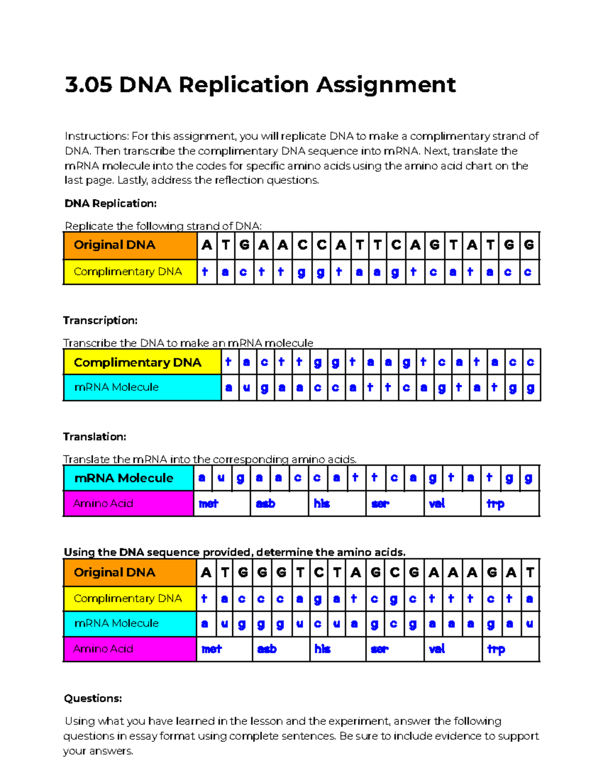 3.05 DNA replication assignment: Transcription and translation ...