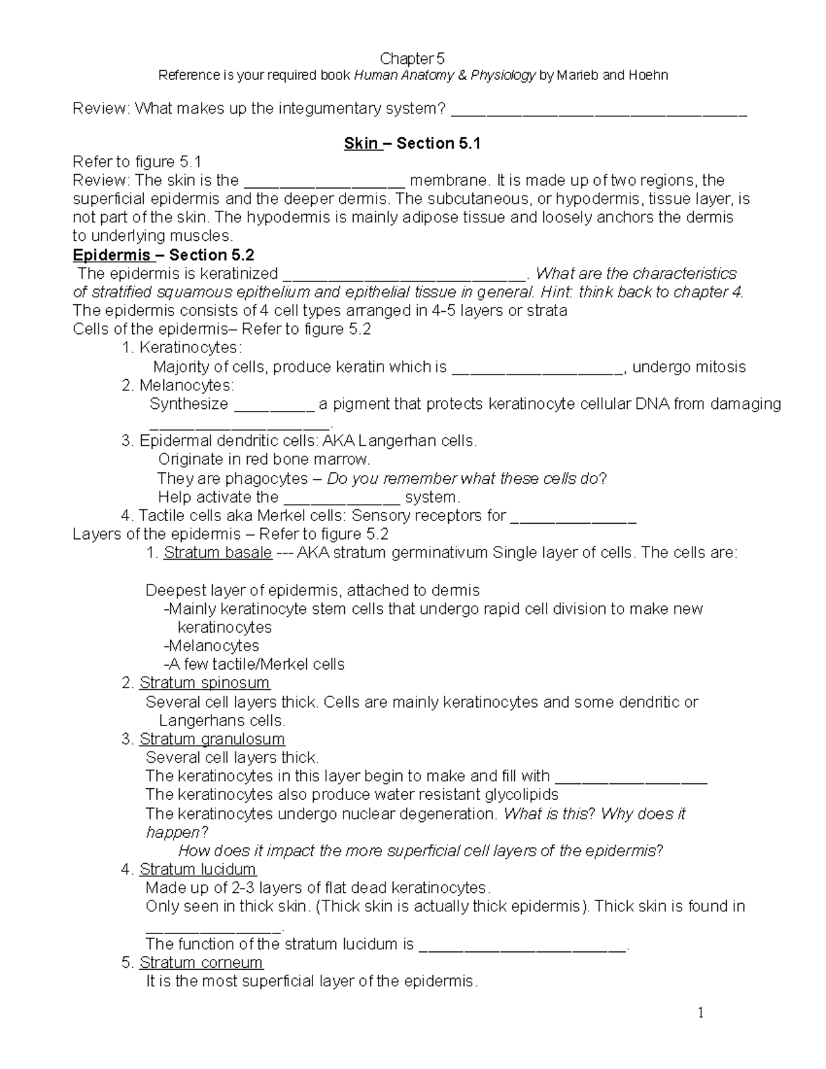 Chapter 5 Integumentary System Notes F21, 2 - Human Anatomy ...