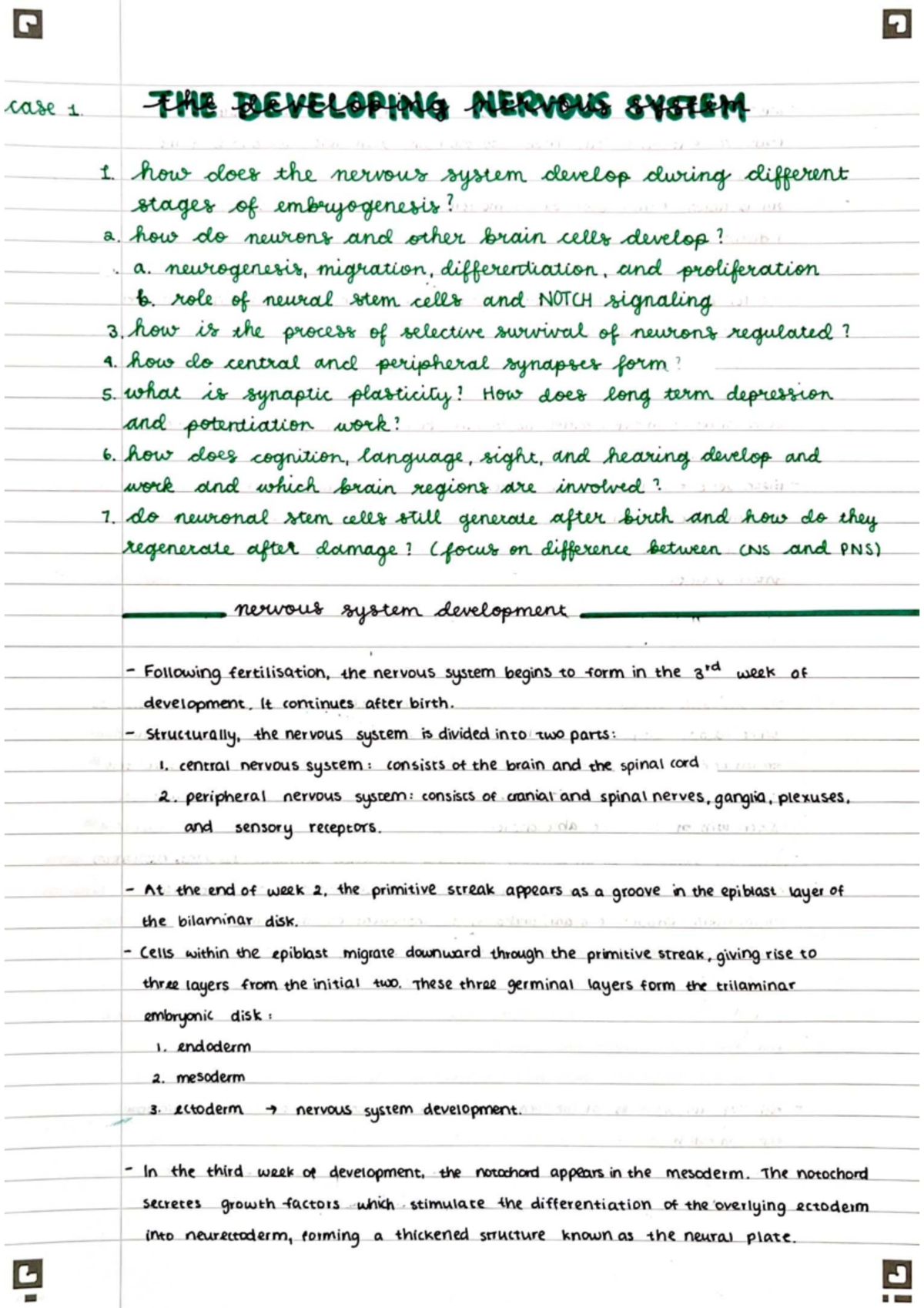 BBS2002 Case Study: Development of the Nervous System - Studeersnel