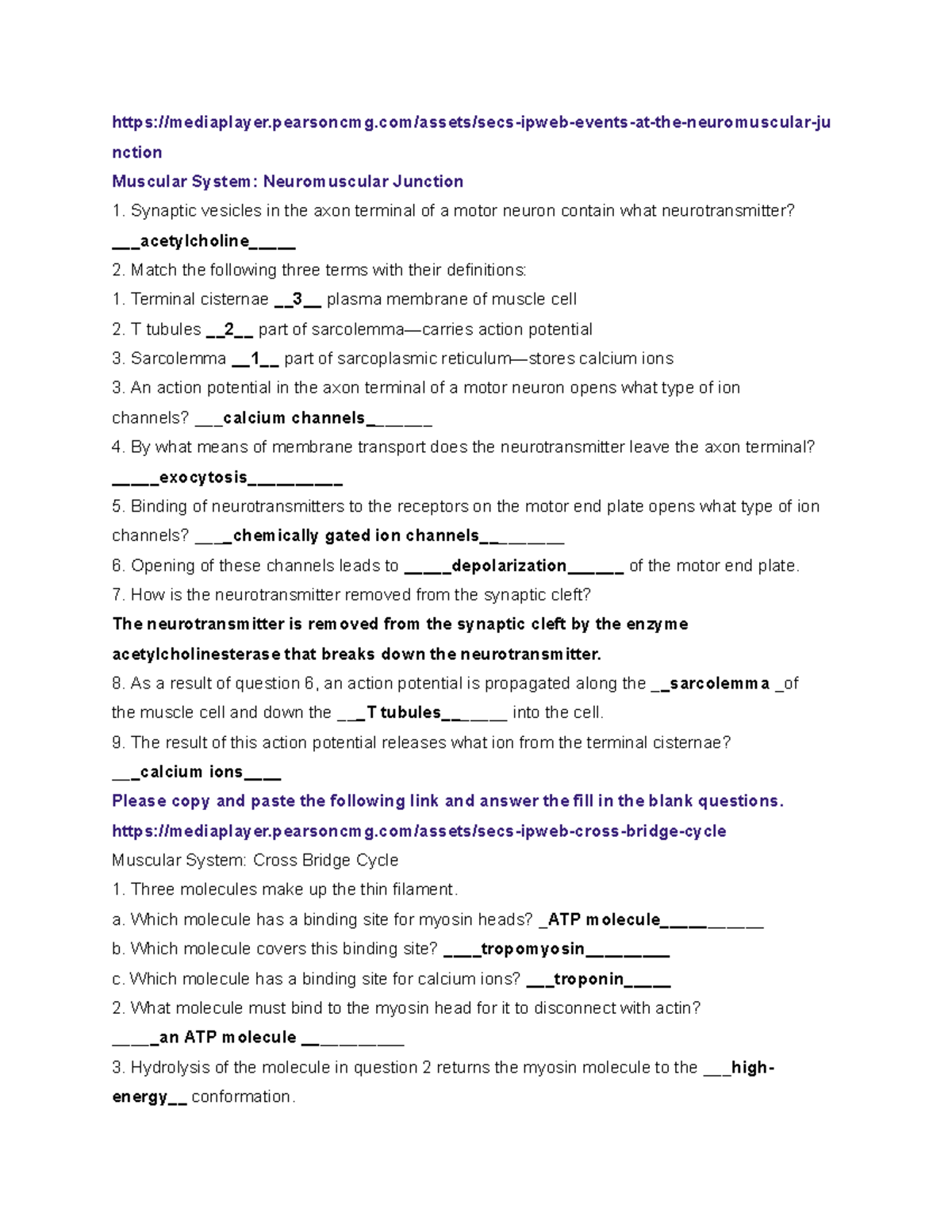 Chapter 9 Assignment - Neuromuscular Junction & Cross Bridge Cycle ...