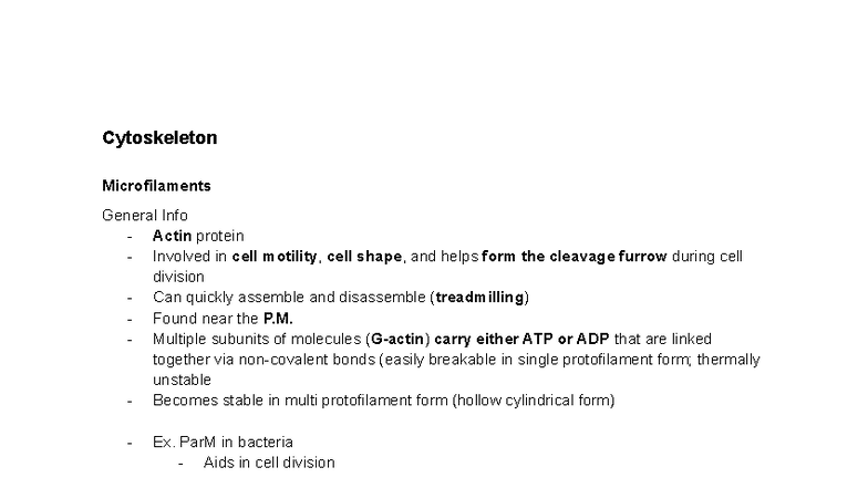 Cytoskeleton Overview: Actin Microfilaments & Their Functions - Studocu