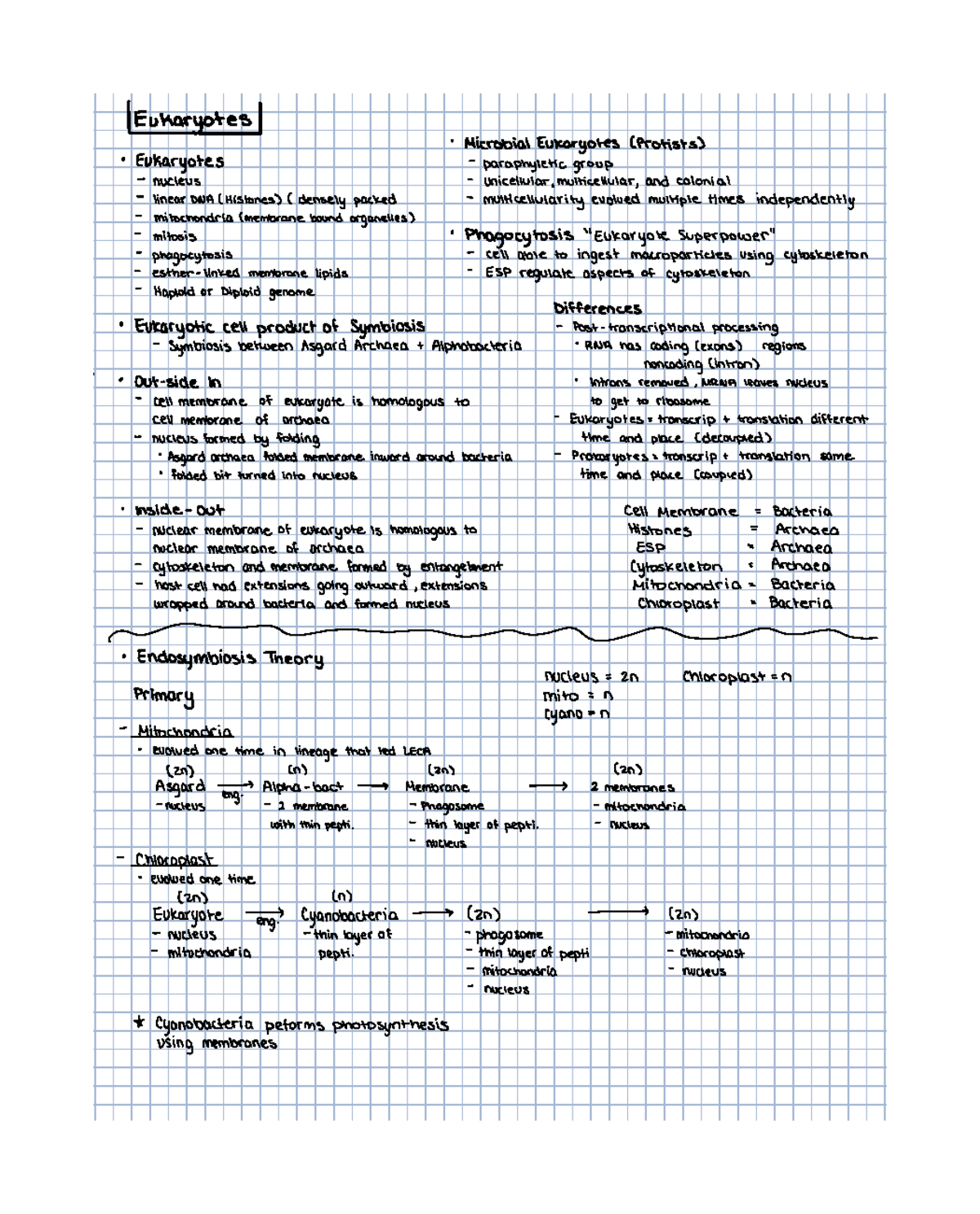 Eukaryotic Cell Structure and Function: BIS 2C Notes 7 - Studocu