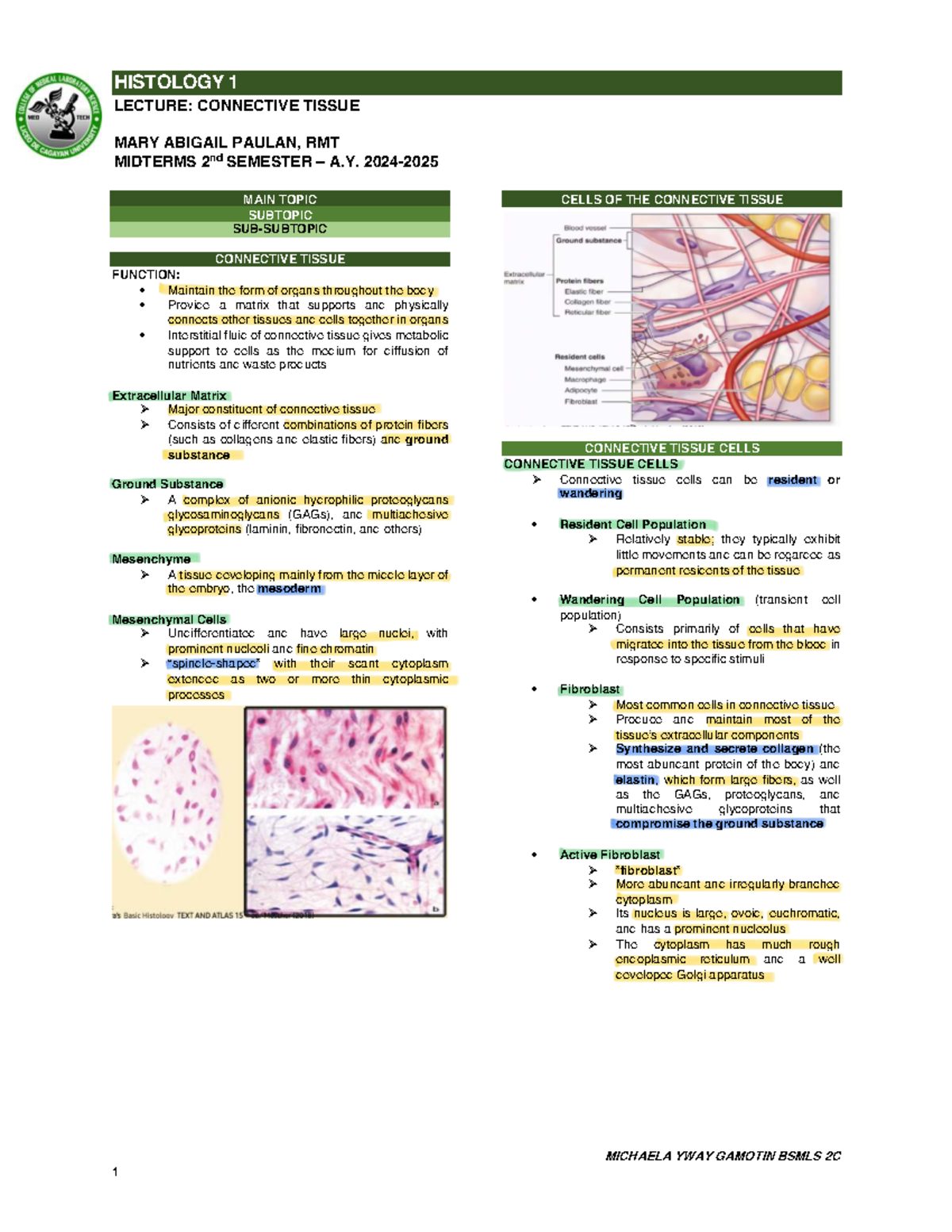 HISTOLOGY 1 MIDTERM NOTES: CONNECTIVE TISSUE OVERVIEW - Studocu