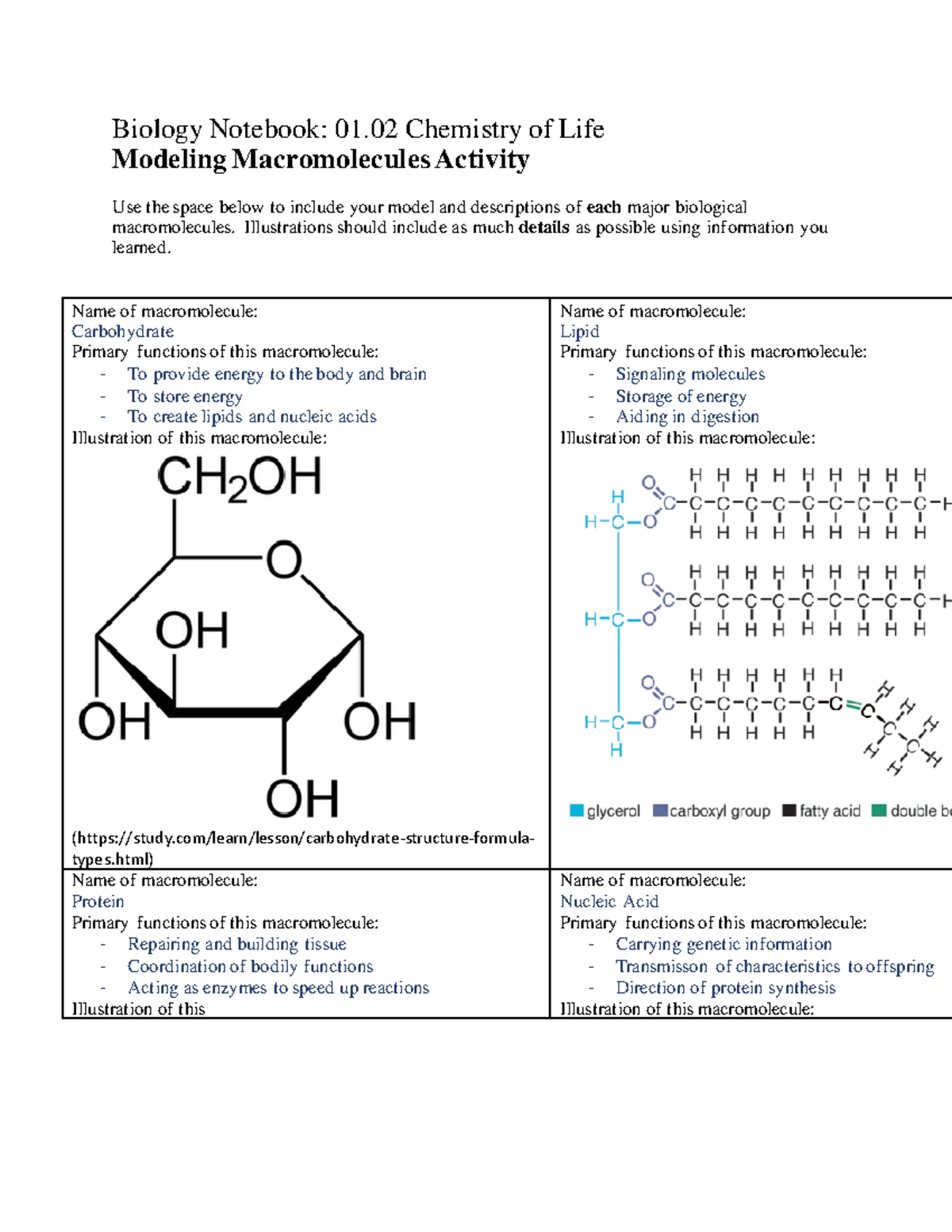 Biology 1.02 Macromolecules Modeling Activity and Descriptions - Studocu