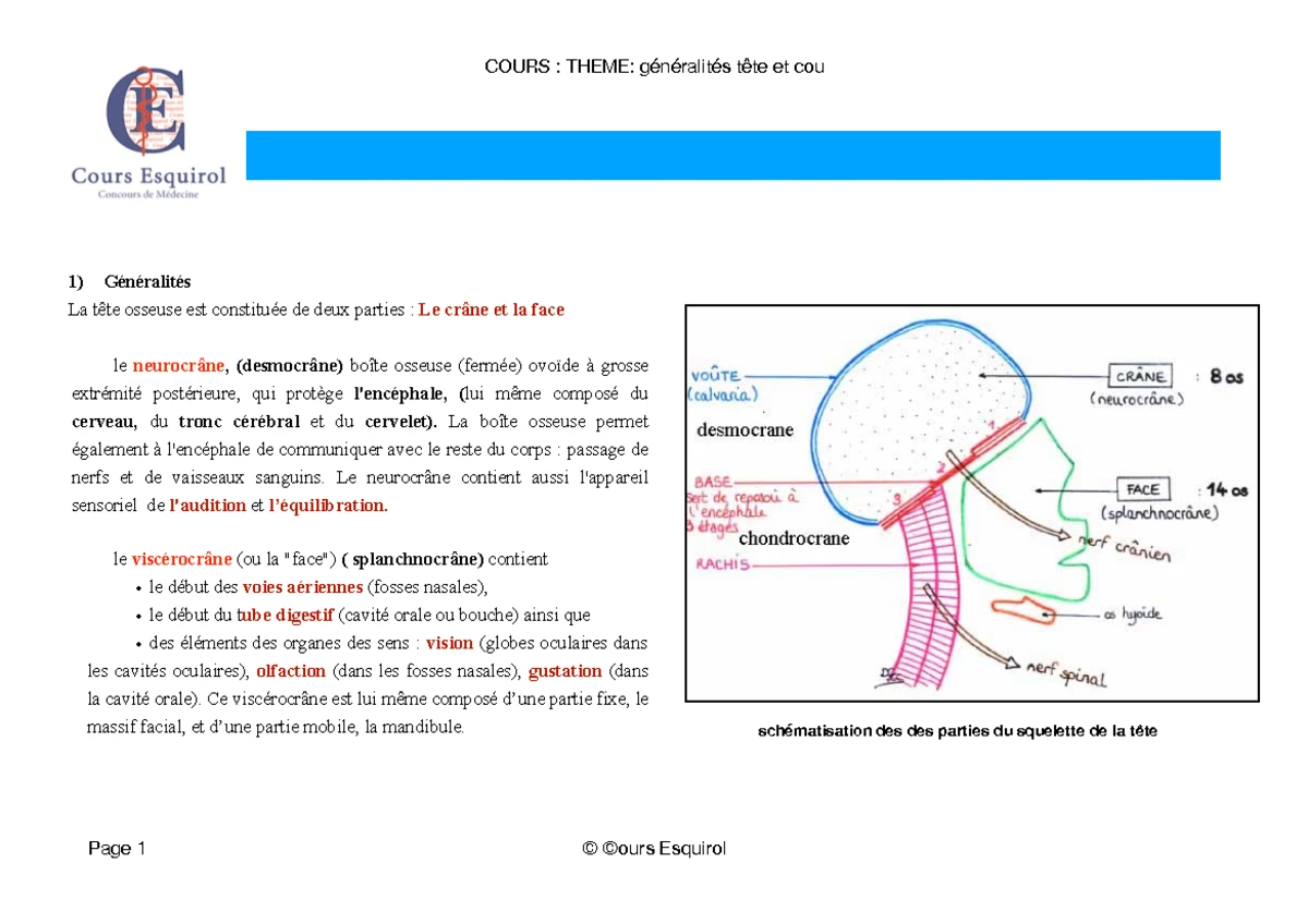 Fiches de révision anatomie et physiologie - Fiches de révisions ...