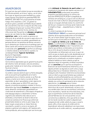 Ruidos cardiacos R1 R2 R3 y R4 (ritmo de tres tiempos) - R1 CIERRE DE ...