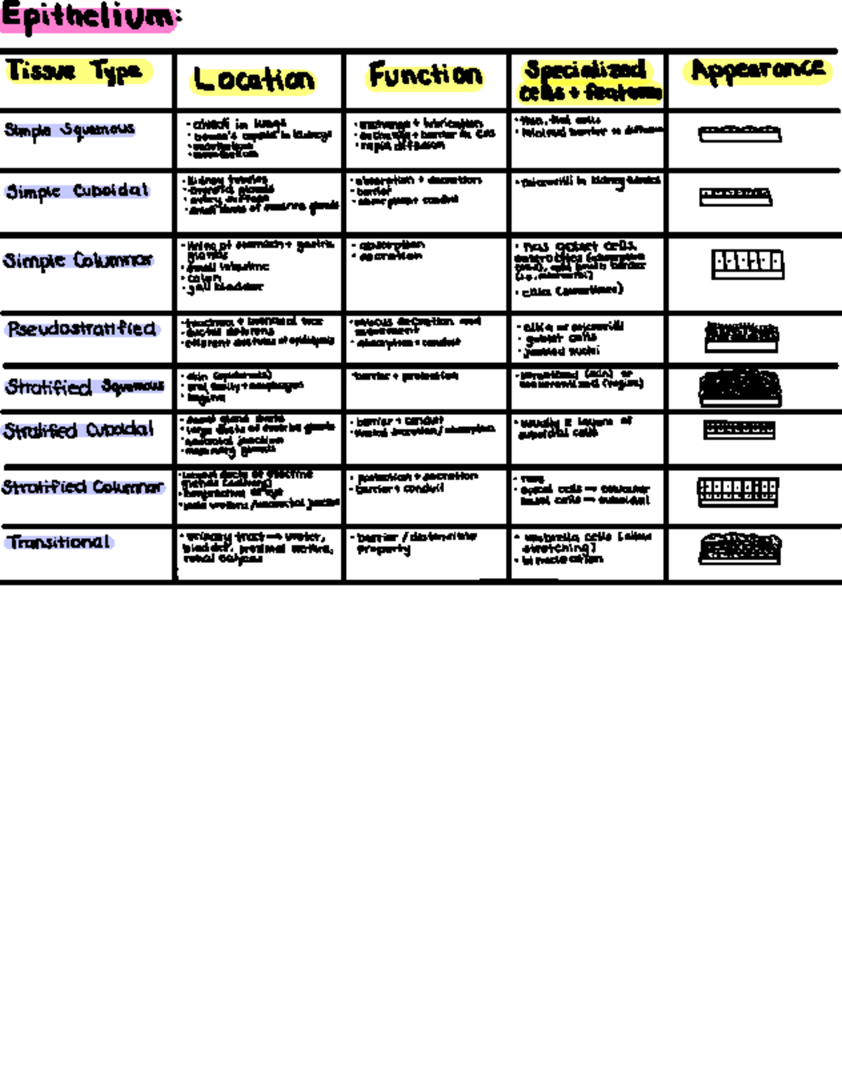 Types of Tissues - Histology (BIO 101) - Studocu