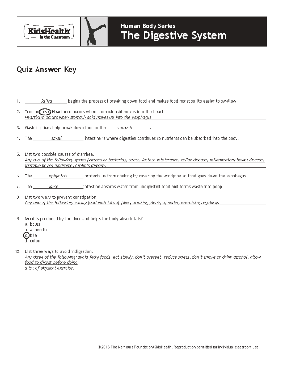 Digestive System Quiz Answer Key (Human Body Series) - Studocu