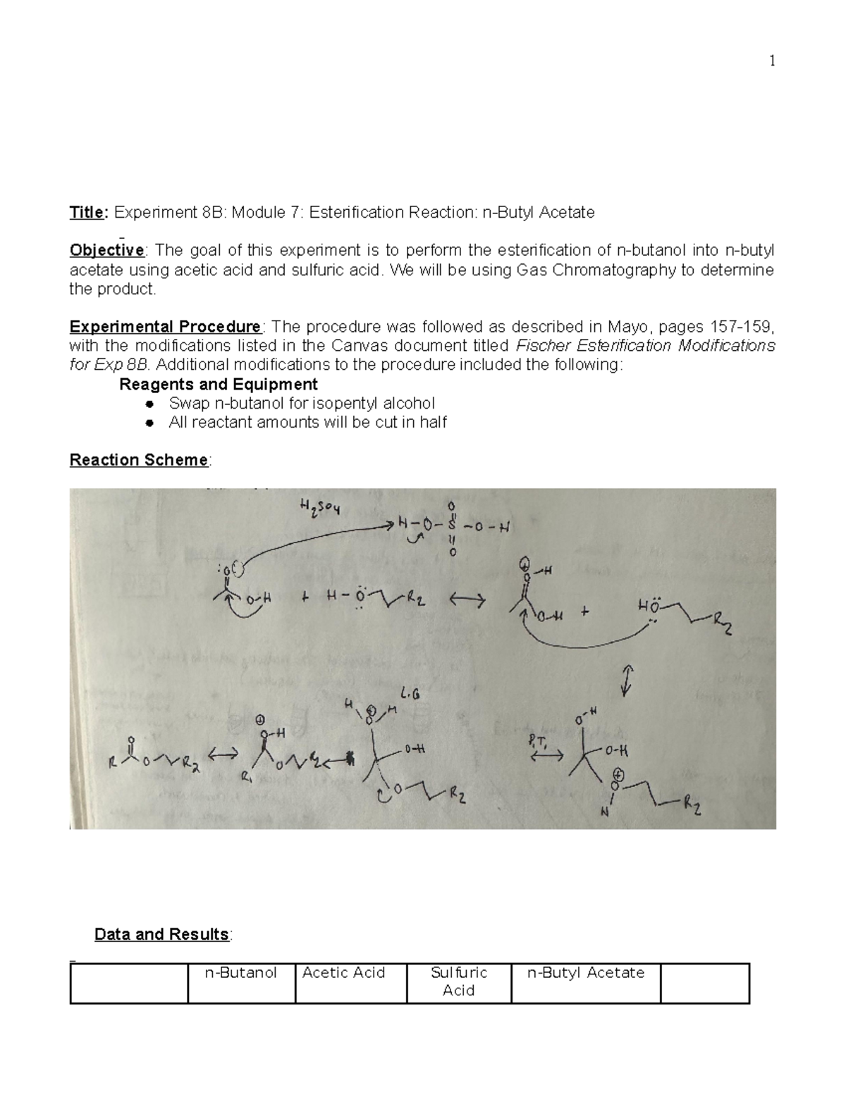 Module 7 Lab Report: Fischer Esterification of n-Butyl Acetate (Exp 8B ...