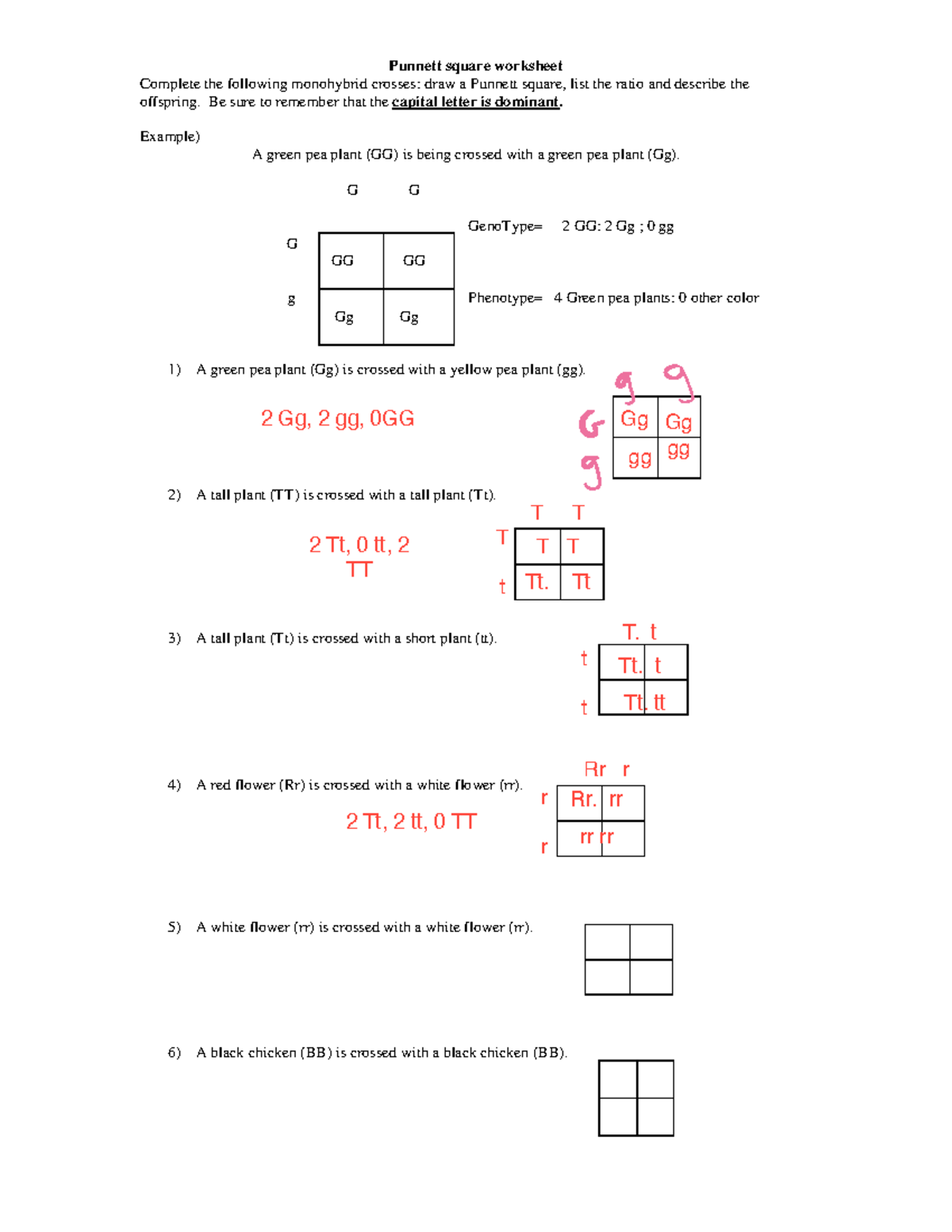 Punnett Square Worksheet for Monohybrid Crosses - Genotype Analysis ...