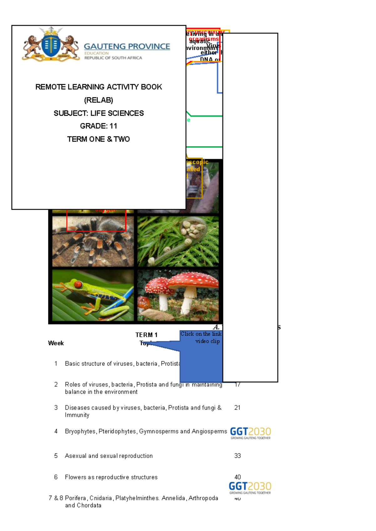 Open Grade 11 Life Sciences Remote learning booklet - Term 1 & 2 - A ...