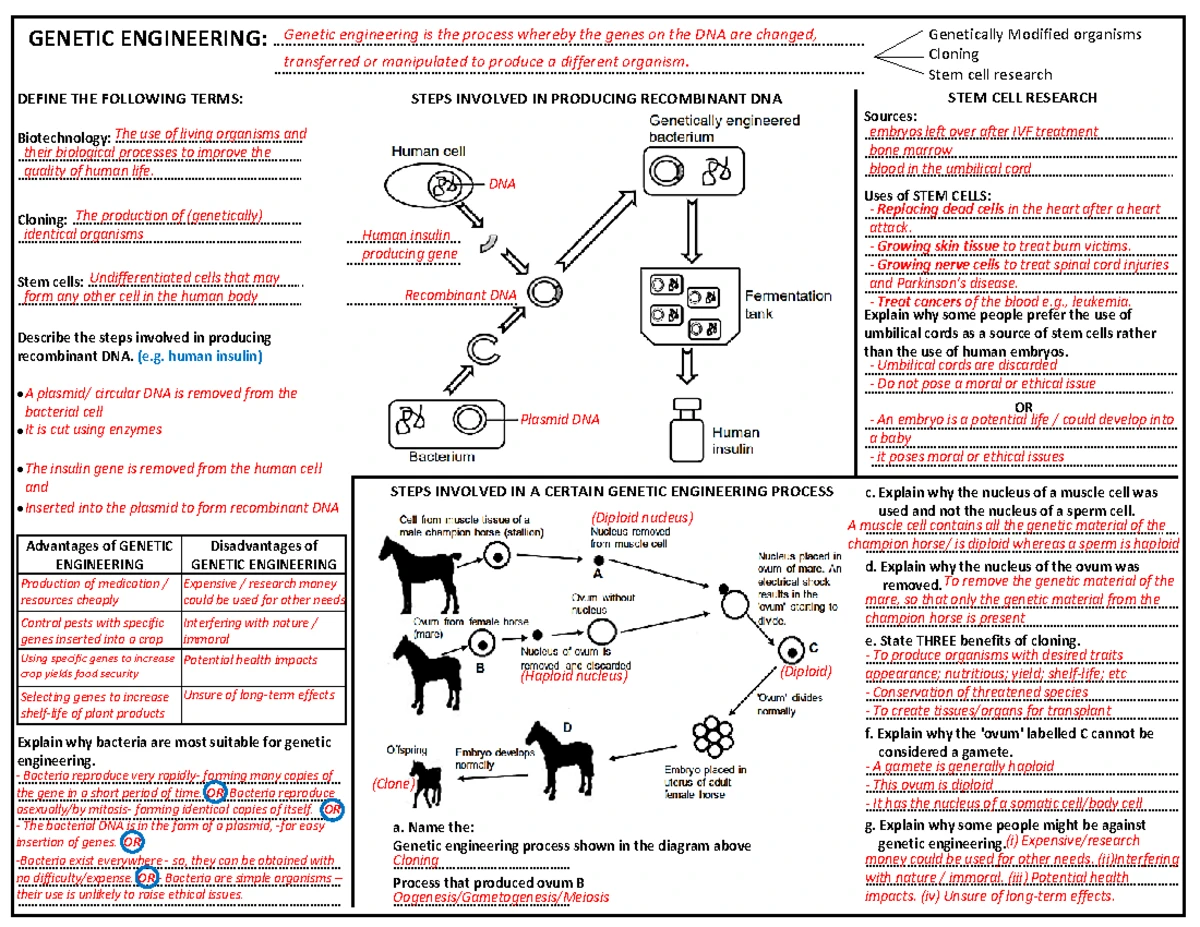 Mind the Gap CAPS Grade 12 Life Sciences Study Guide 2024 - Studocu
