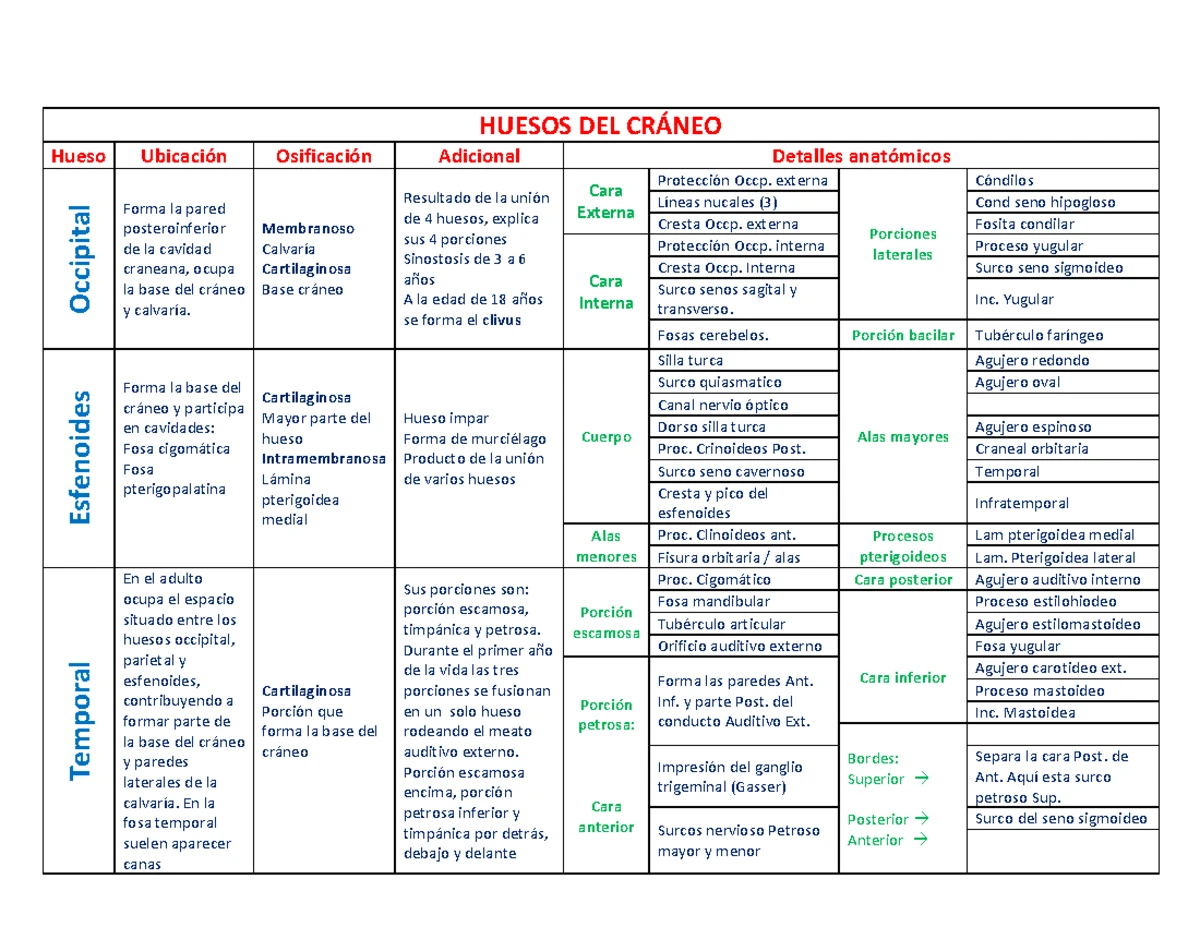 Cuestionario De Huesos Del Cráneo Anatomía 101 Studocu