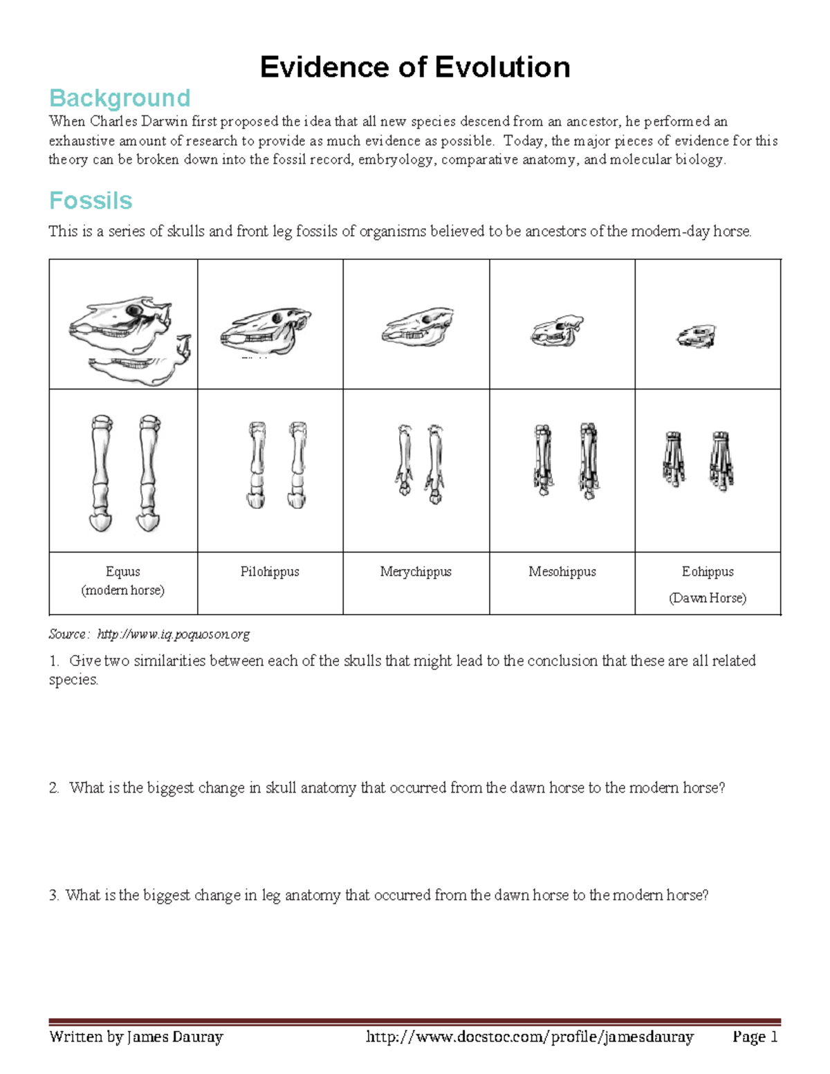 Evidence of Evolution Packet - Evidence of Evolution Background When ...