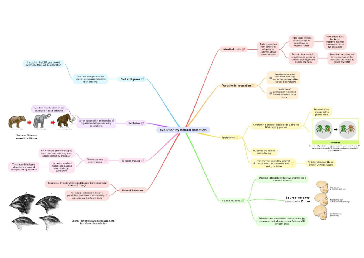 Evolution by Natural Selection: Key Traits and Mutations (Science ...