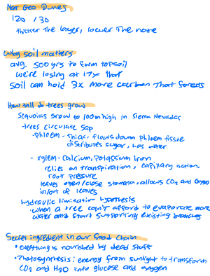 Rock Cycle - Professor Geordie Armstrong - Rock classified by how they ...