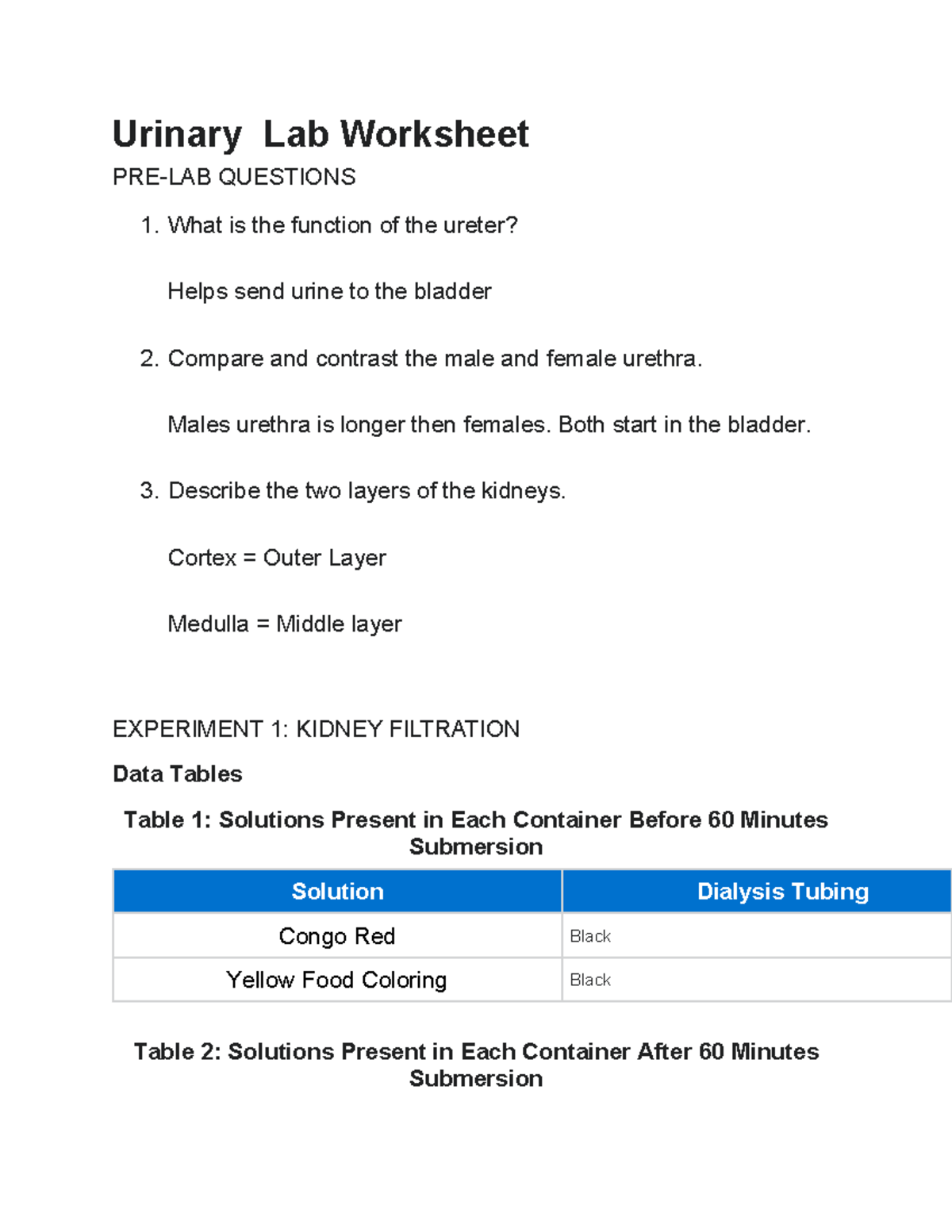 Urinary Lab Worksheet: Functions & Experiments on Kidneys & Urinalysis ...