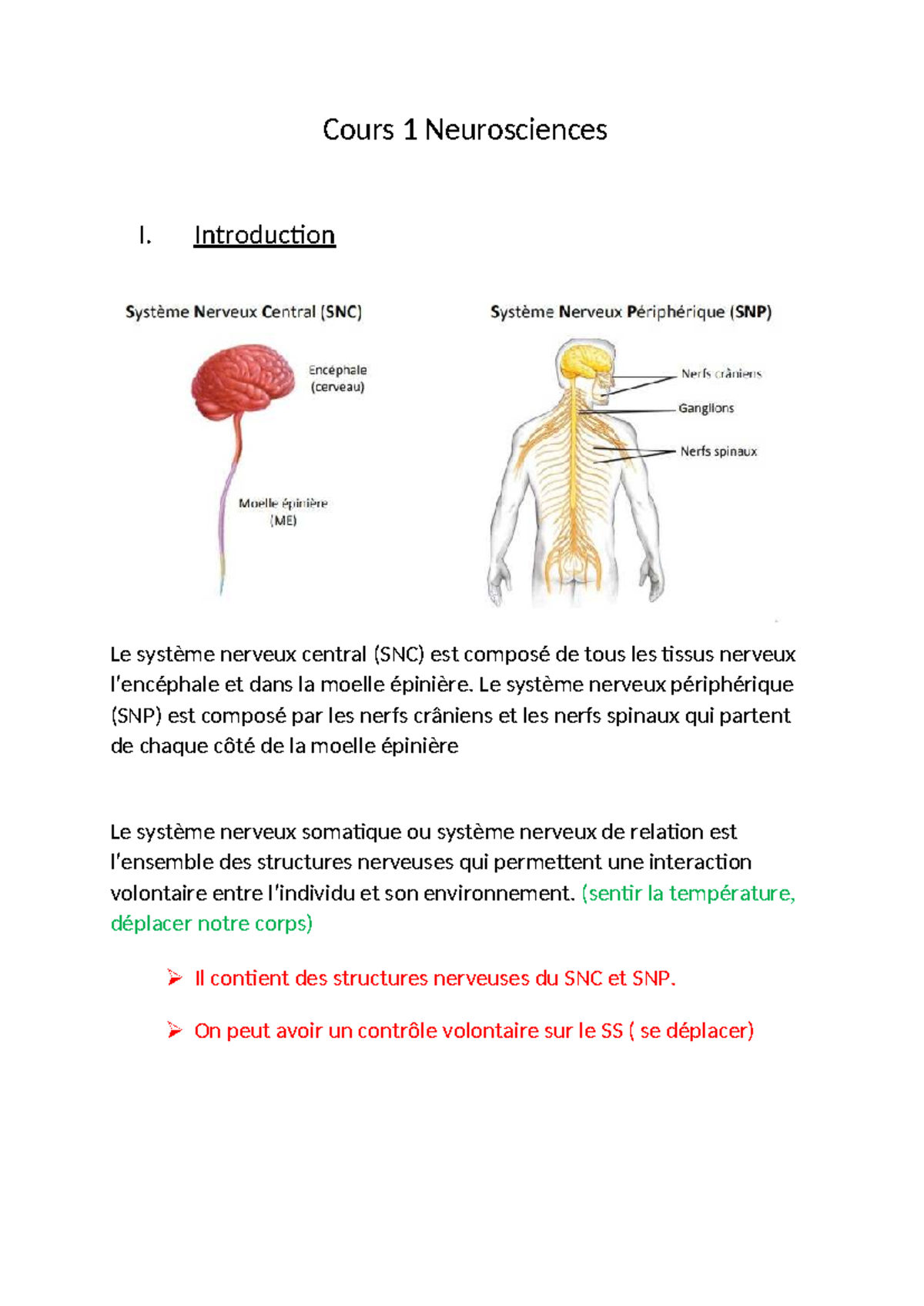 Cours 1 Neurosciences I: Introduction au Système Nerveux Central et ...