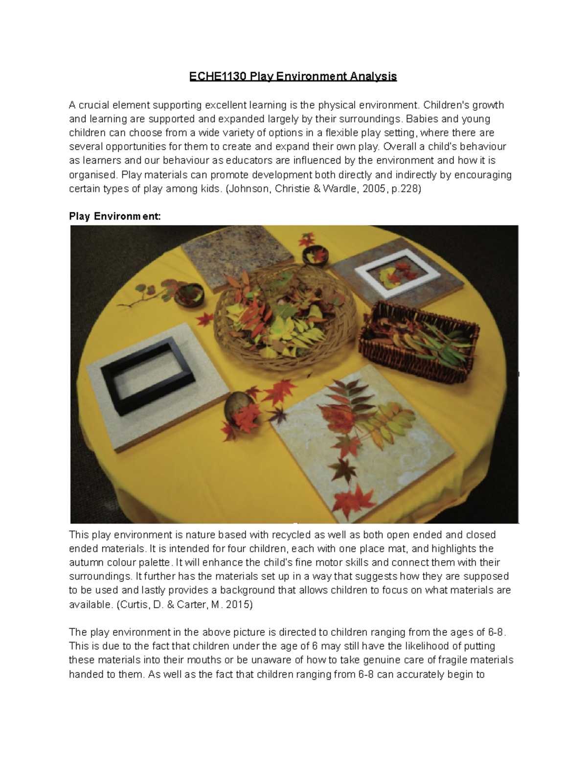 ECHE1130 Play Environment Analysis Assignment - ECHE1130 Play ...