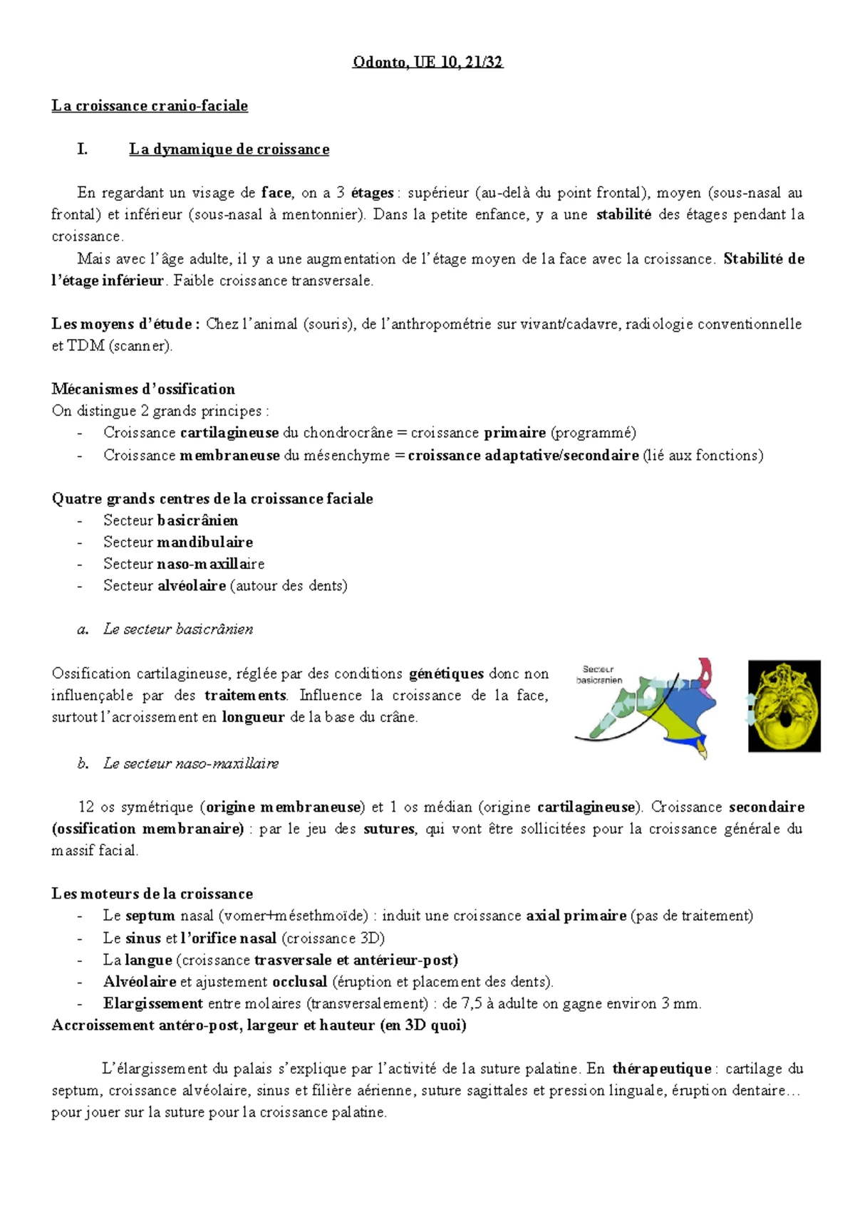 Ostéologie de la Face - anatomie des os de la face - Le squelette ...