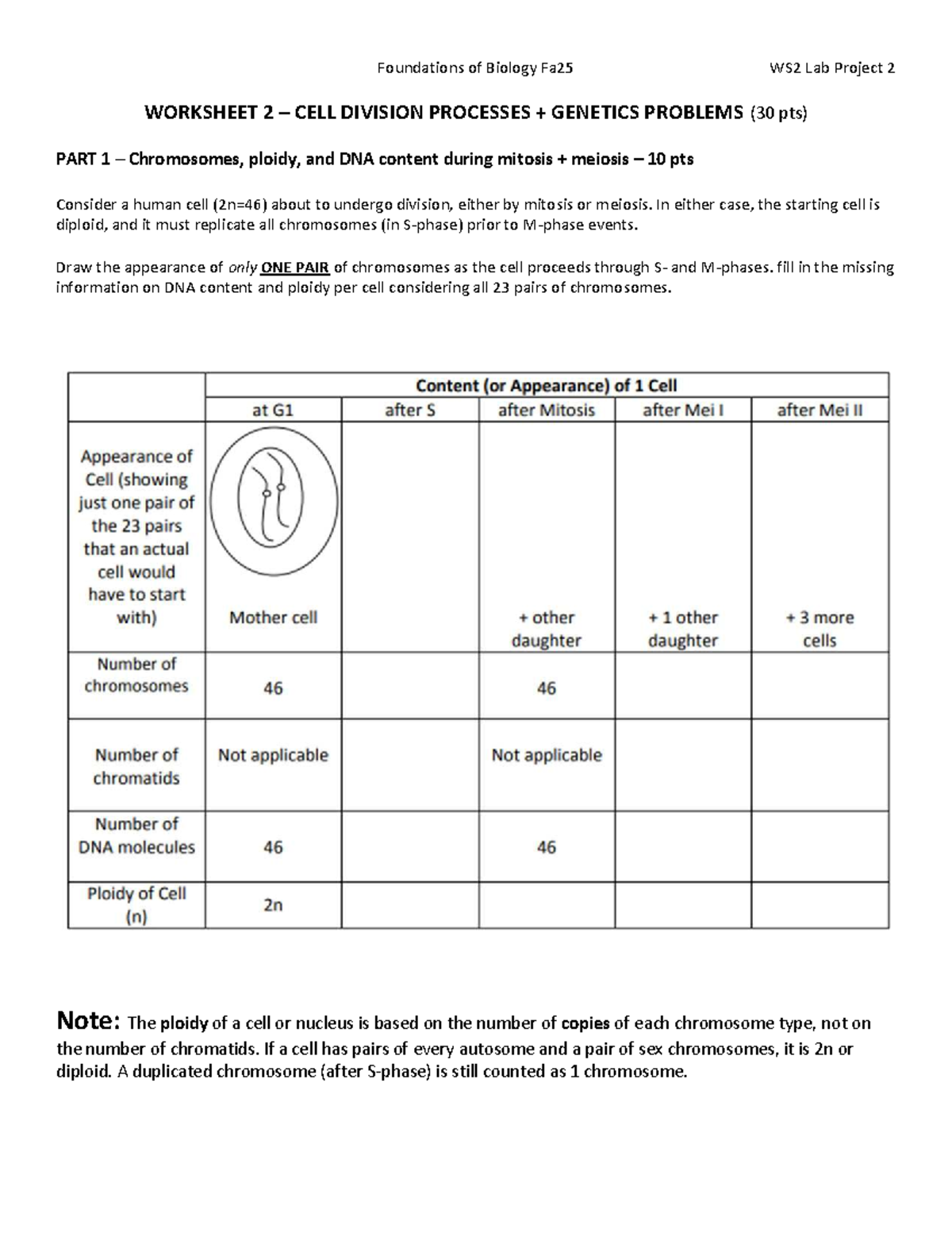 WS2: Cell Division & Genetics Problems - Foundations of Biology Fa25 - Studocu