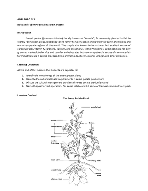 Module - Corn Production - Agri Agro 321 – CORN PRODUCTION ...