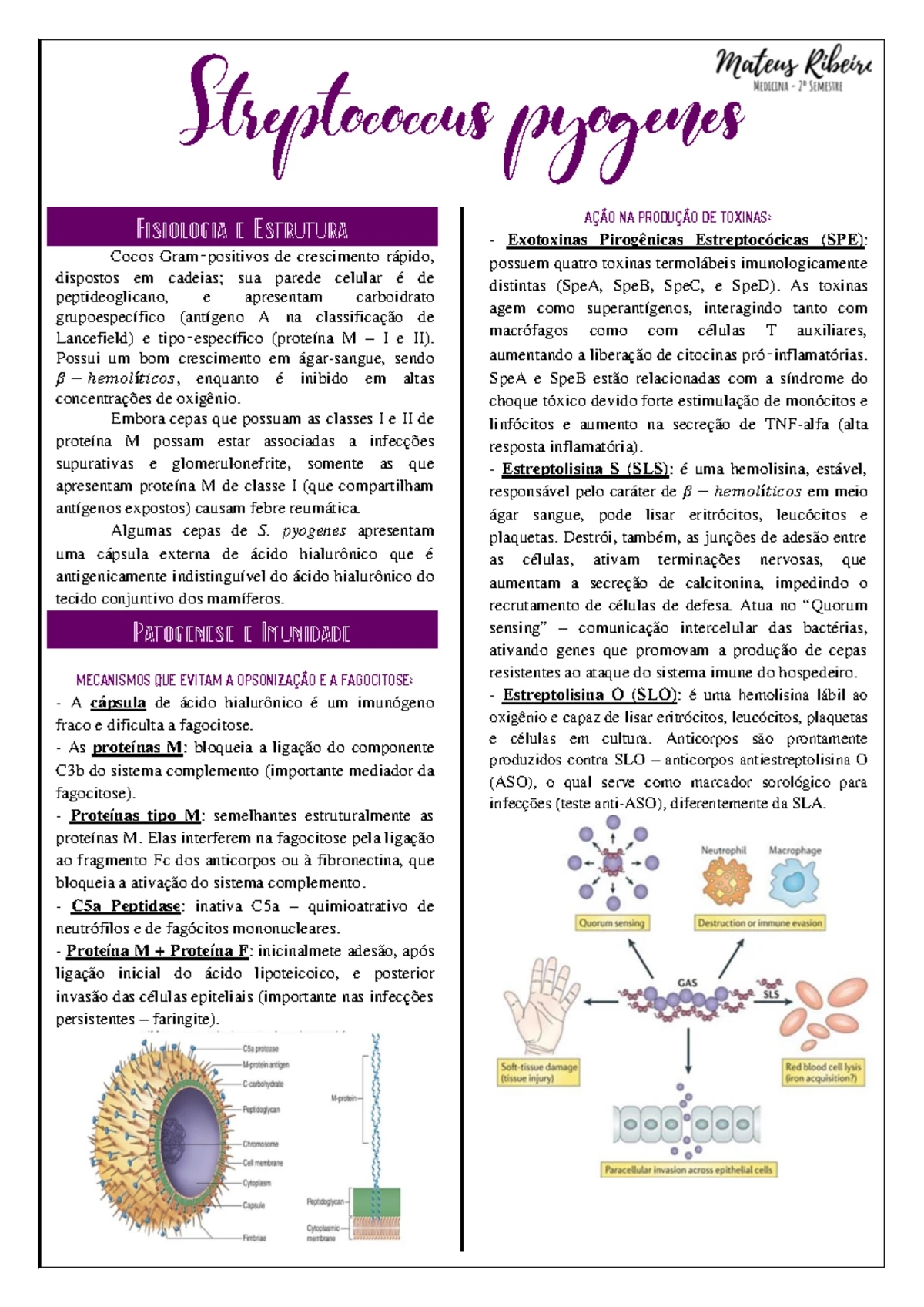 Método de Rugai para Identificação de Parasitas em Amostras Biológicas ...