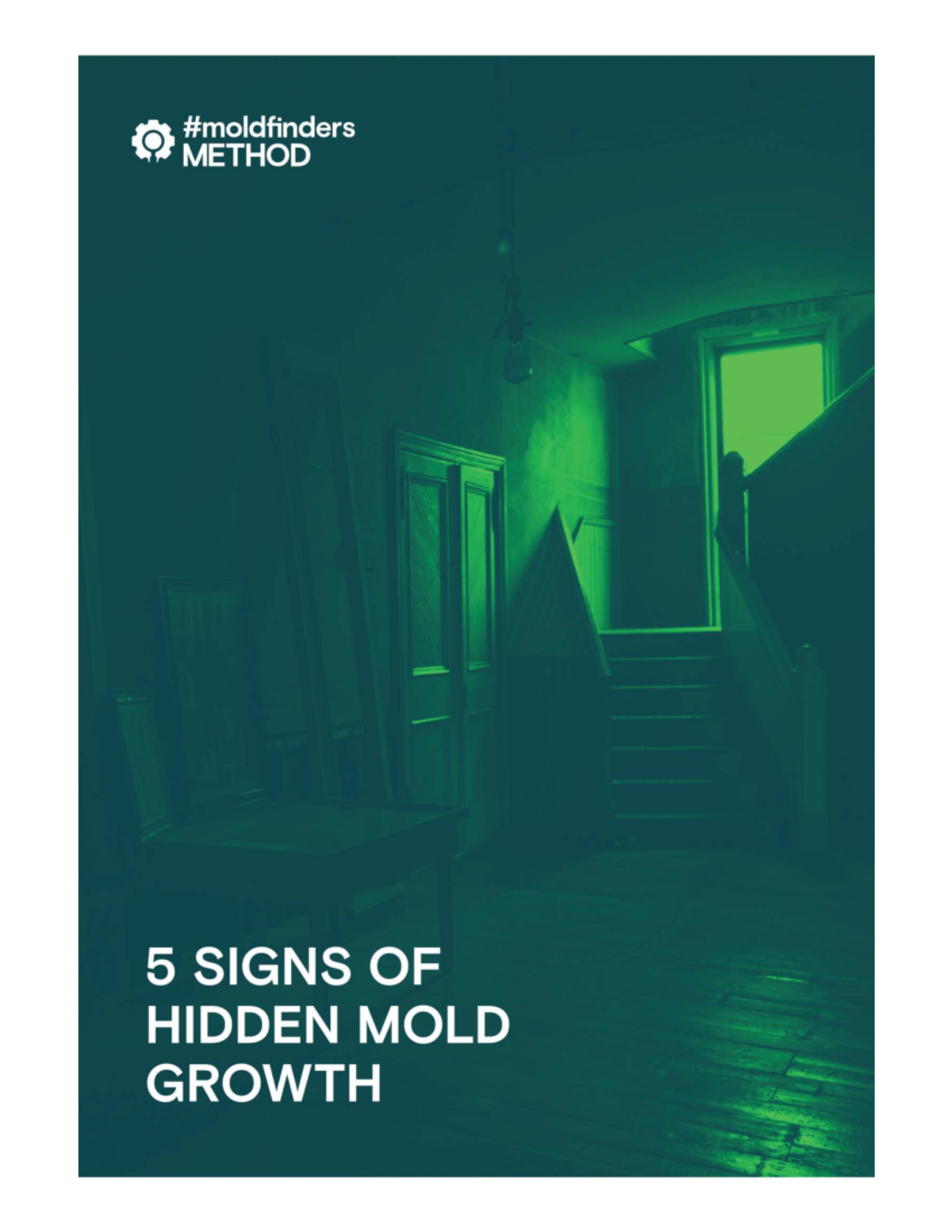 5 Signs of Hidden Mold Growth: Overview and Effects - Studocu