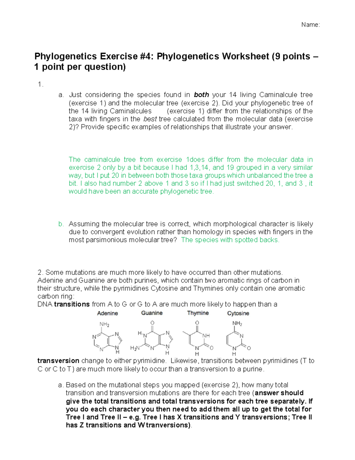 Phylogenetics Worksheet: Analysis and Comparisons (Exercises 1-4) - Studocu