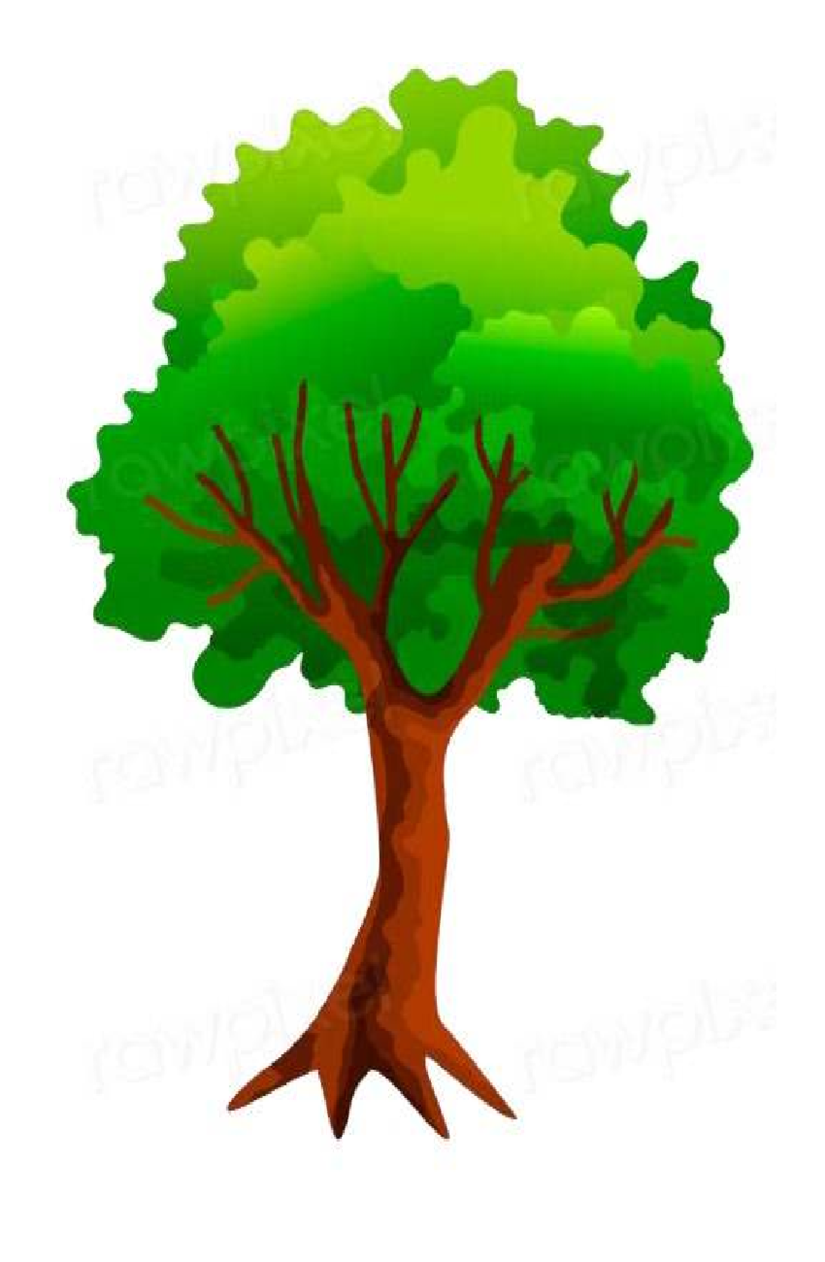 Mango tree for tarpapel - Elementary Education - R - Studocu