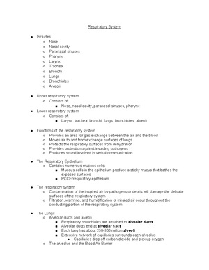 Comprehensive Guide to Human Skeletal and Connective Systems ...