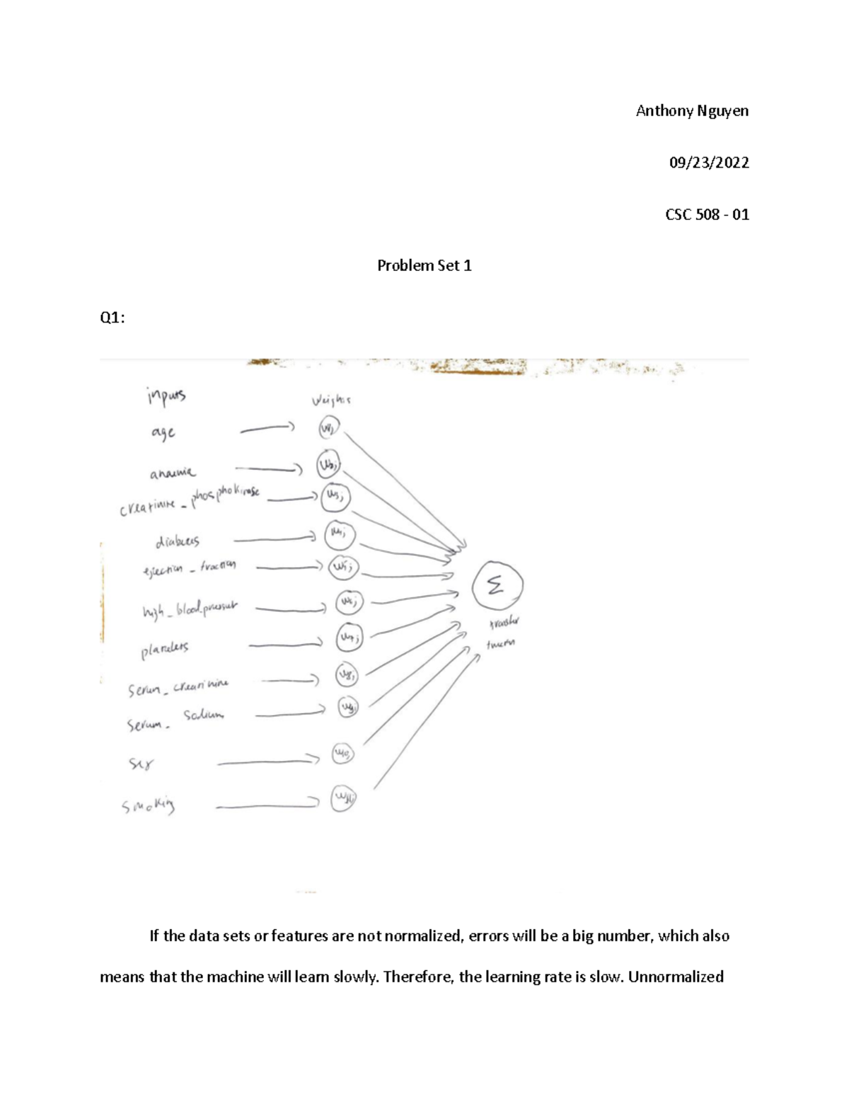 CSC 508 01 Problem Set 1: Normalization & Neural Network Insights - Studocu