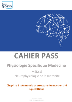 Tableau des Muscles du Membre Inférieur - Anatomie et Fonctions - Studocu