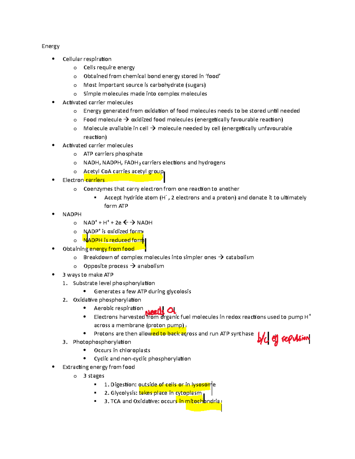 Bio 130 Oct 2- Unit 4 Energy - Energy Cellular respiration o Cells ...