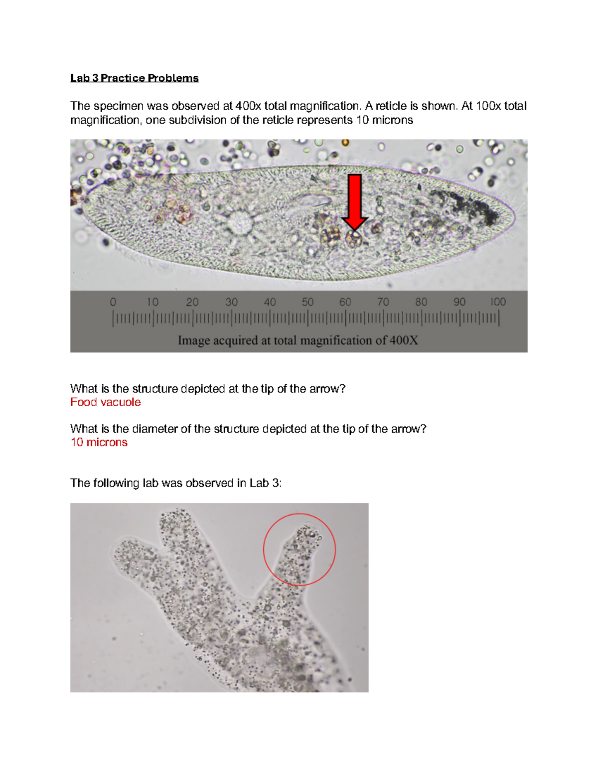 Lab 3 Practice Problems Answer Key - Microscope Observations - Studocu