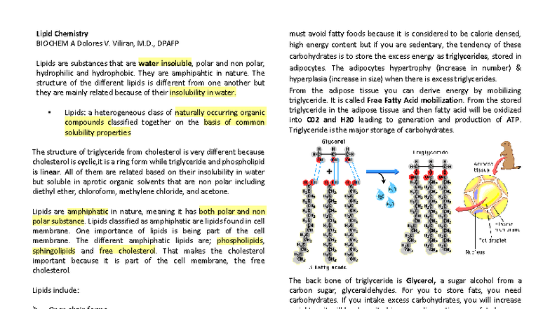 Biochem A: Lipid Chemistry Overview and Key Concepts - Studocu