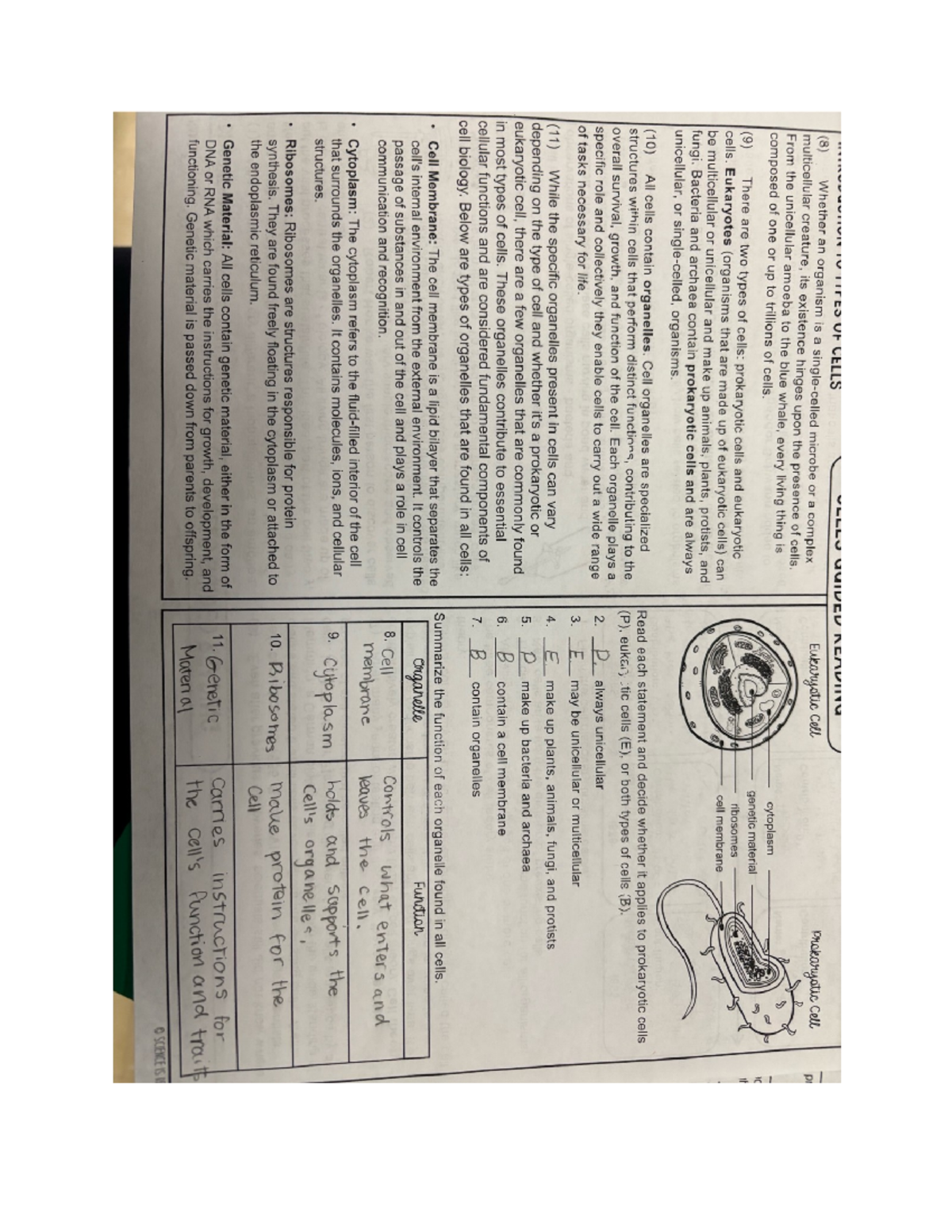 Cell Packet - CELLS (8) Whether an organism is a microbe or a complex ...